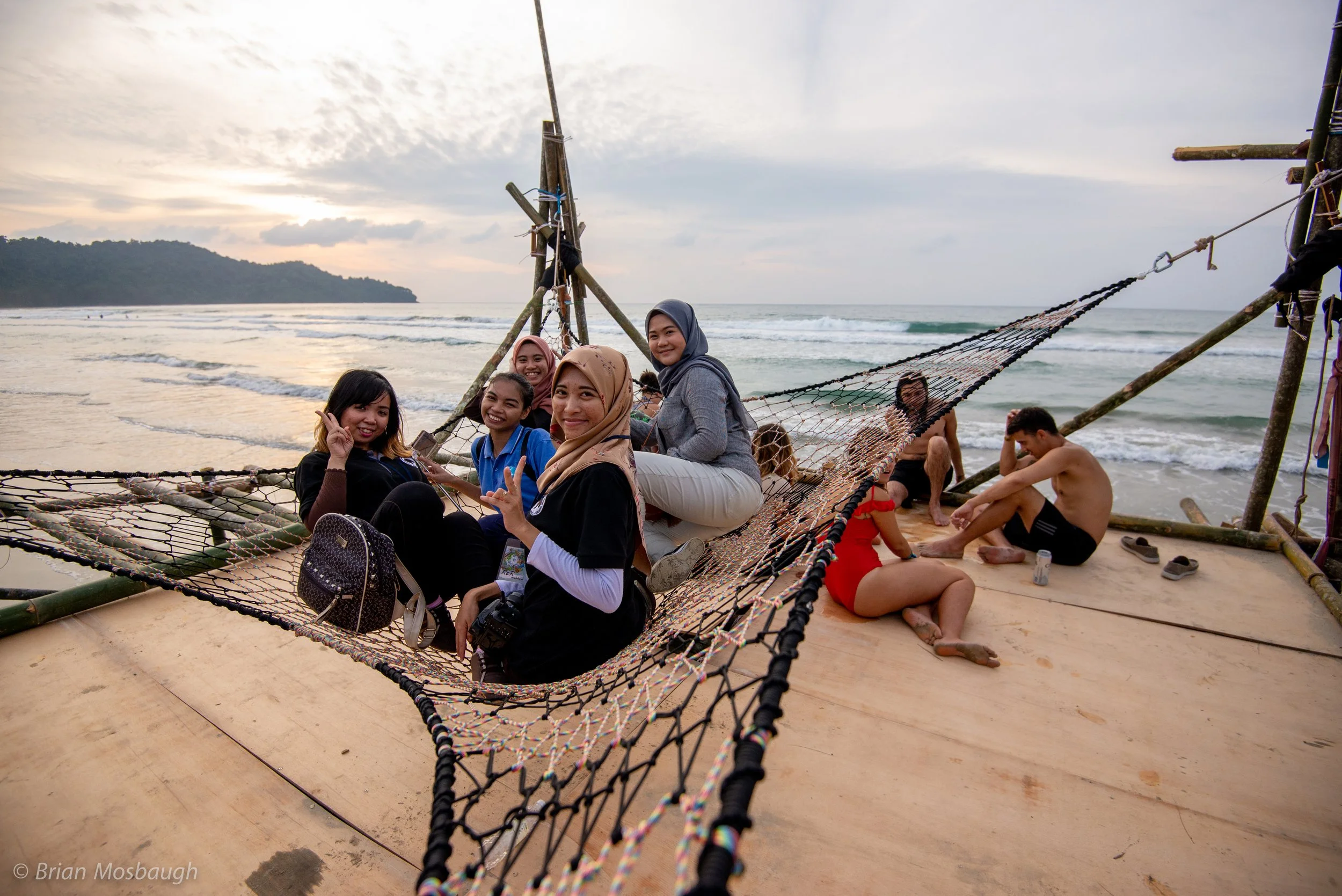 Services — TreeNet Willy's