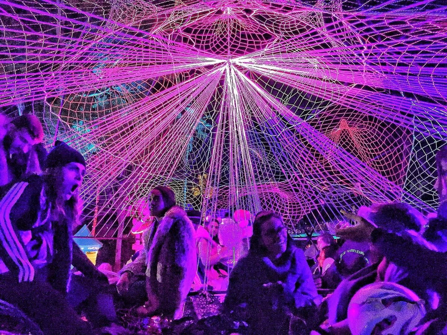 TreeNet Willy Services | Custom Tree Net Design & Installation ...