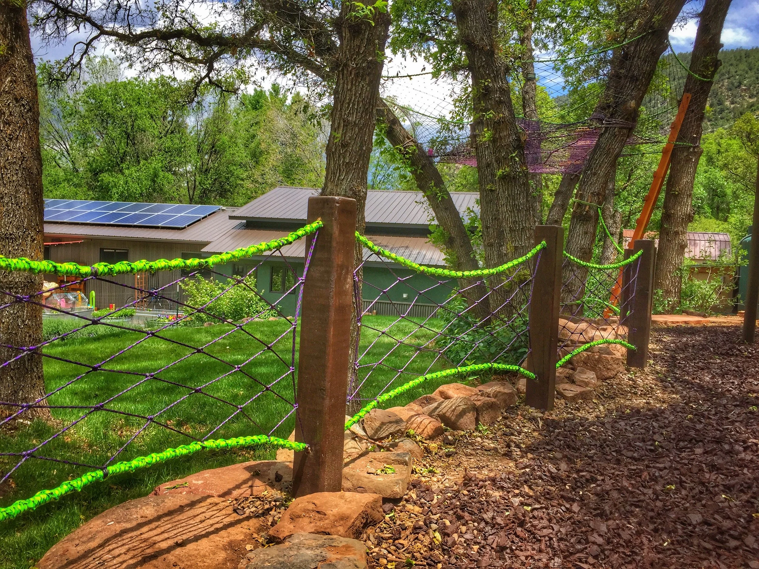 Services — TreeNet Willy's