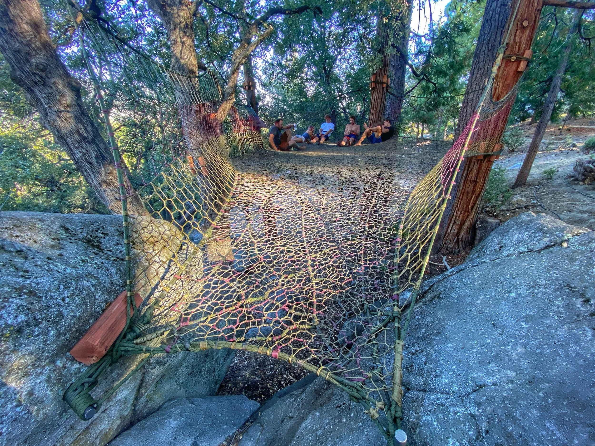 Services — TreeNet Willy's