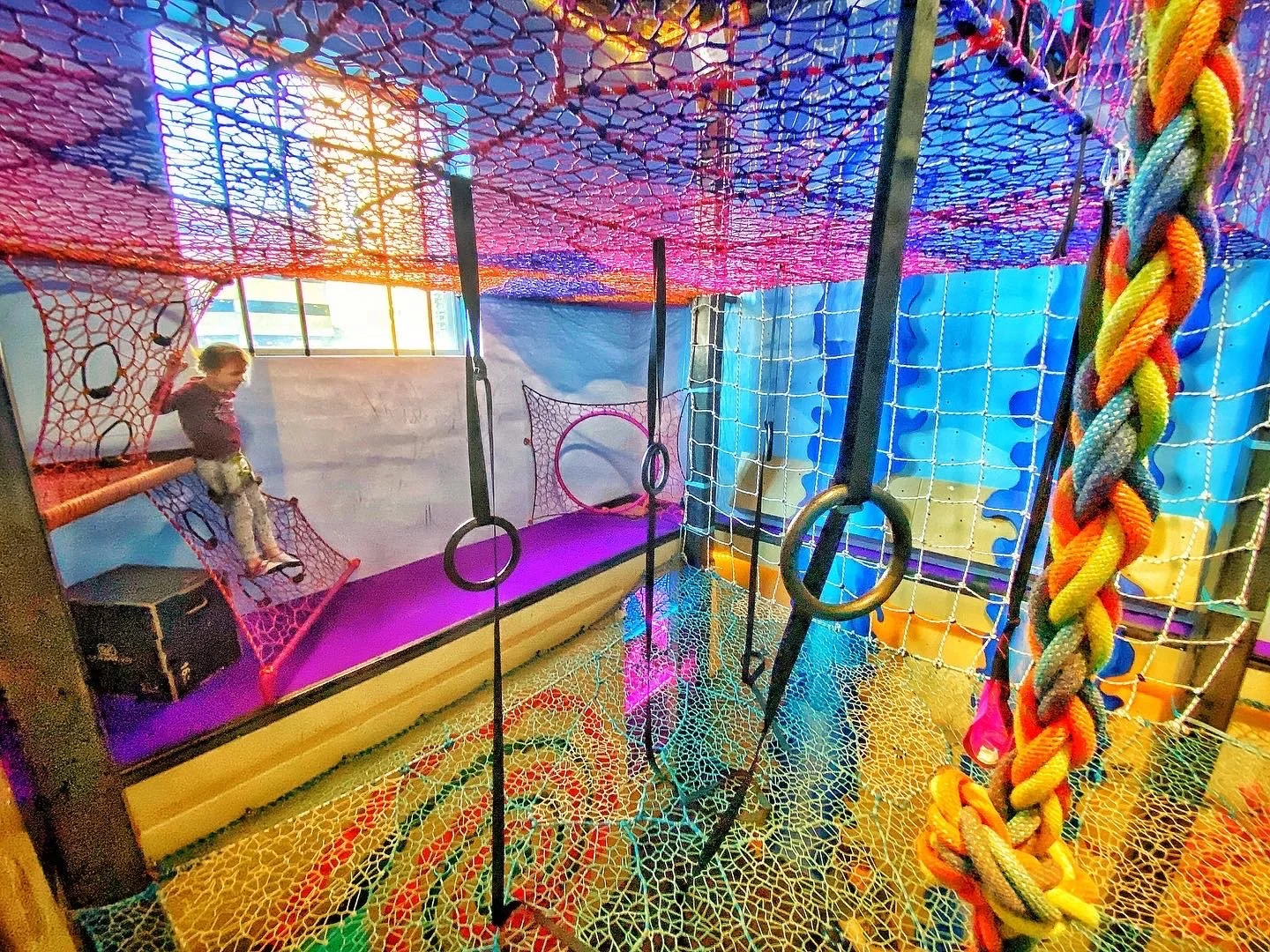 Services — TreeNet Willy's