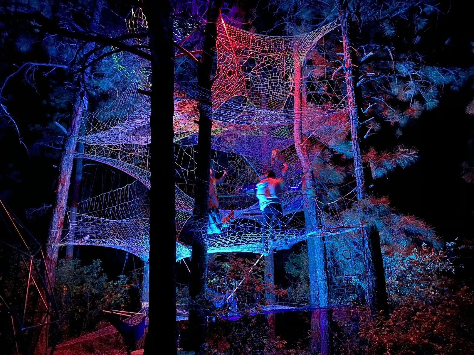 TreeNet Willy Services | Custom Tree Net Design & Installation ...