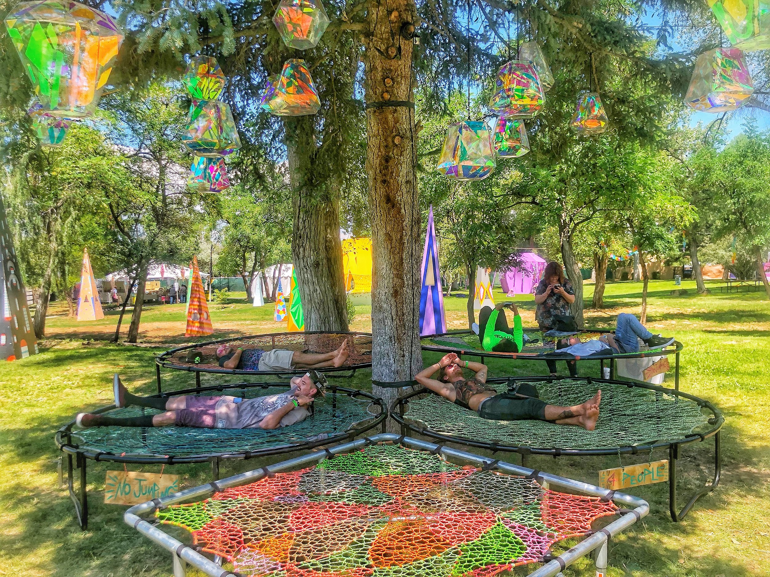 Services — TreeNet Willy's