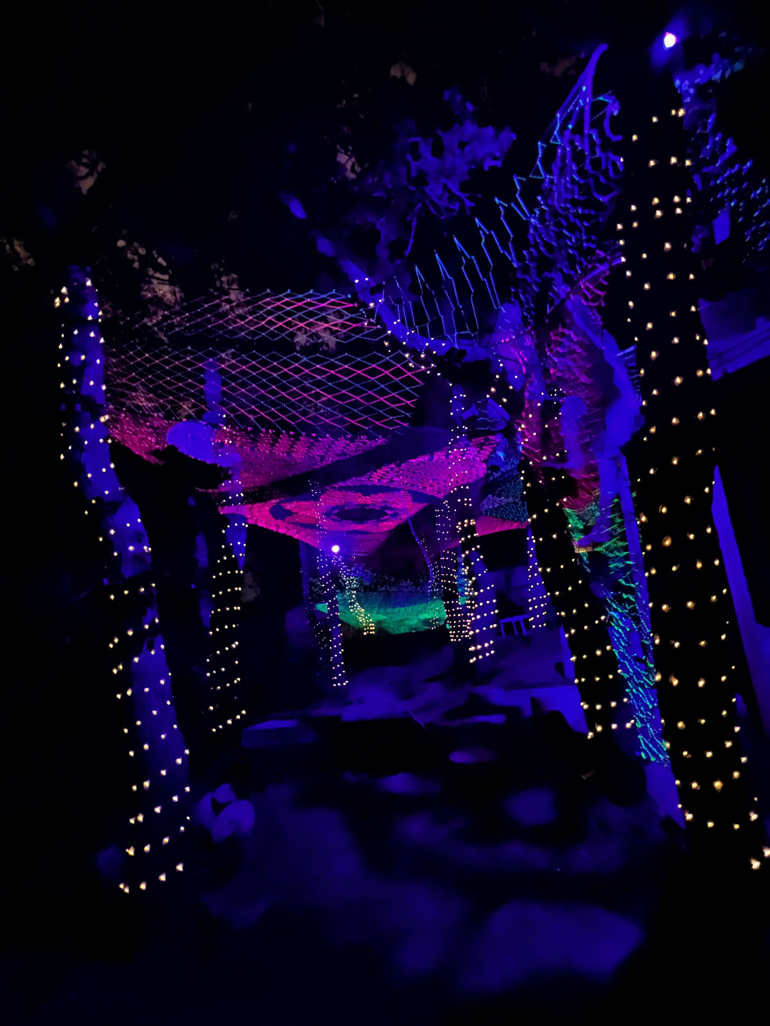 Services — TreeNet Willy's