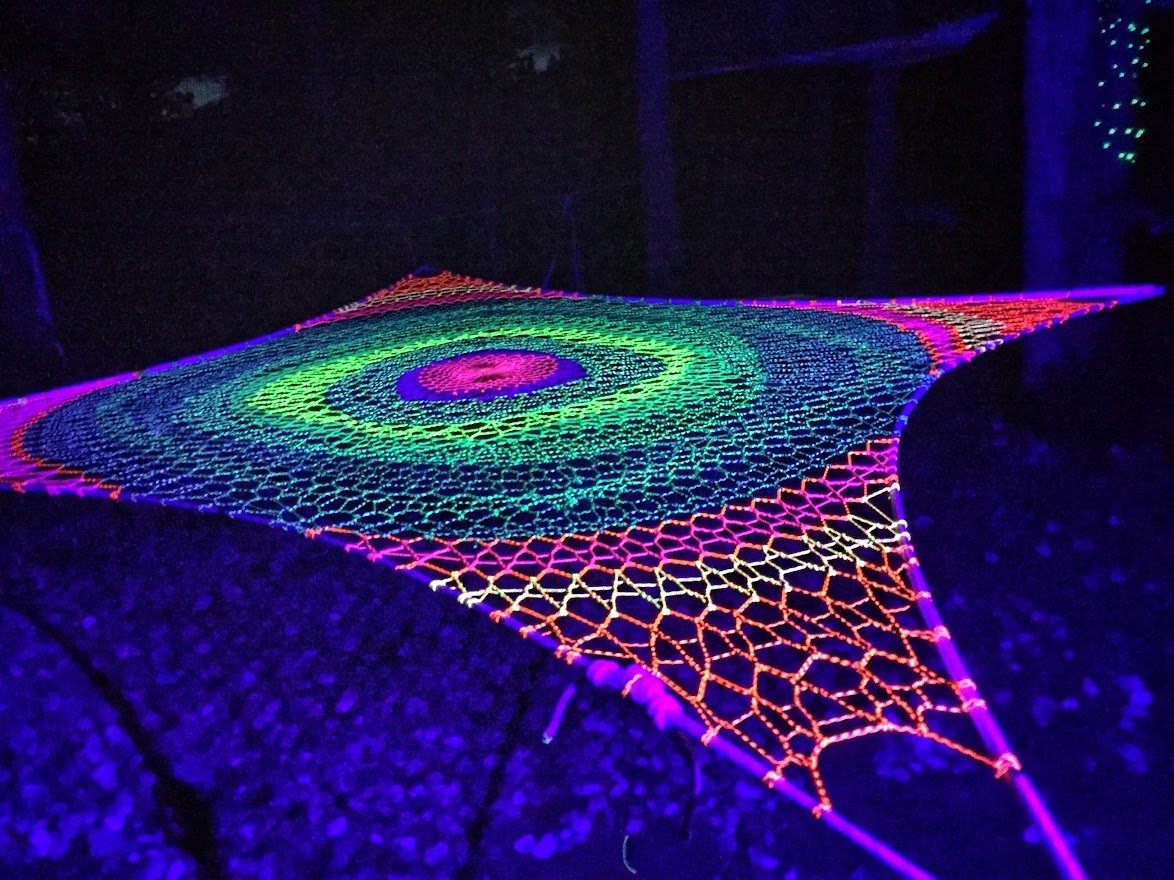 Services — TreeNet Willy's