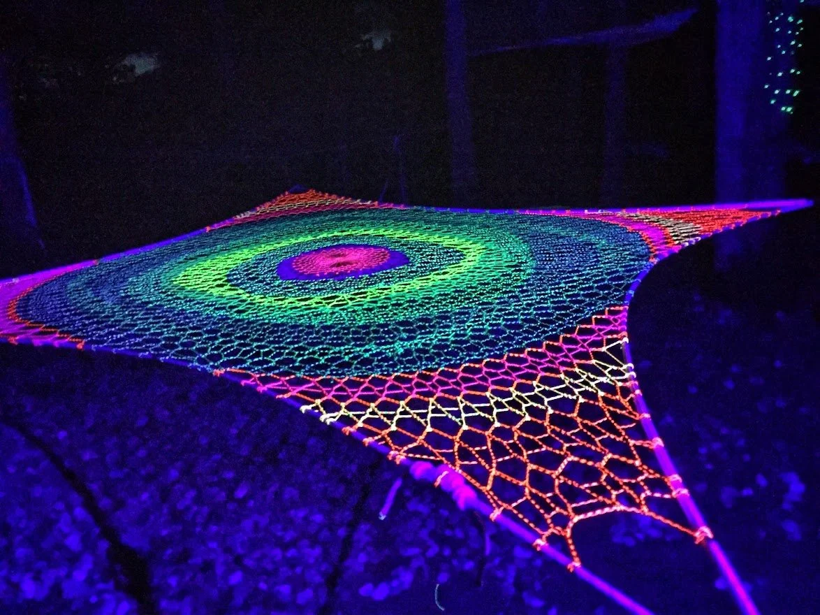 Services — TreeNet Willy's