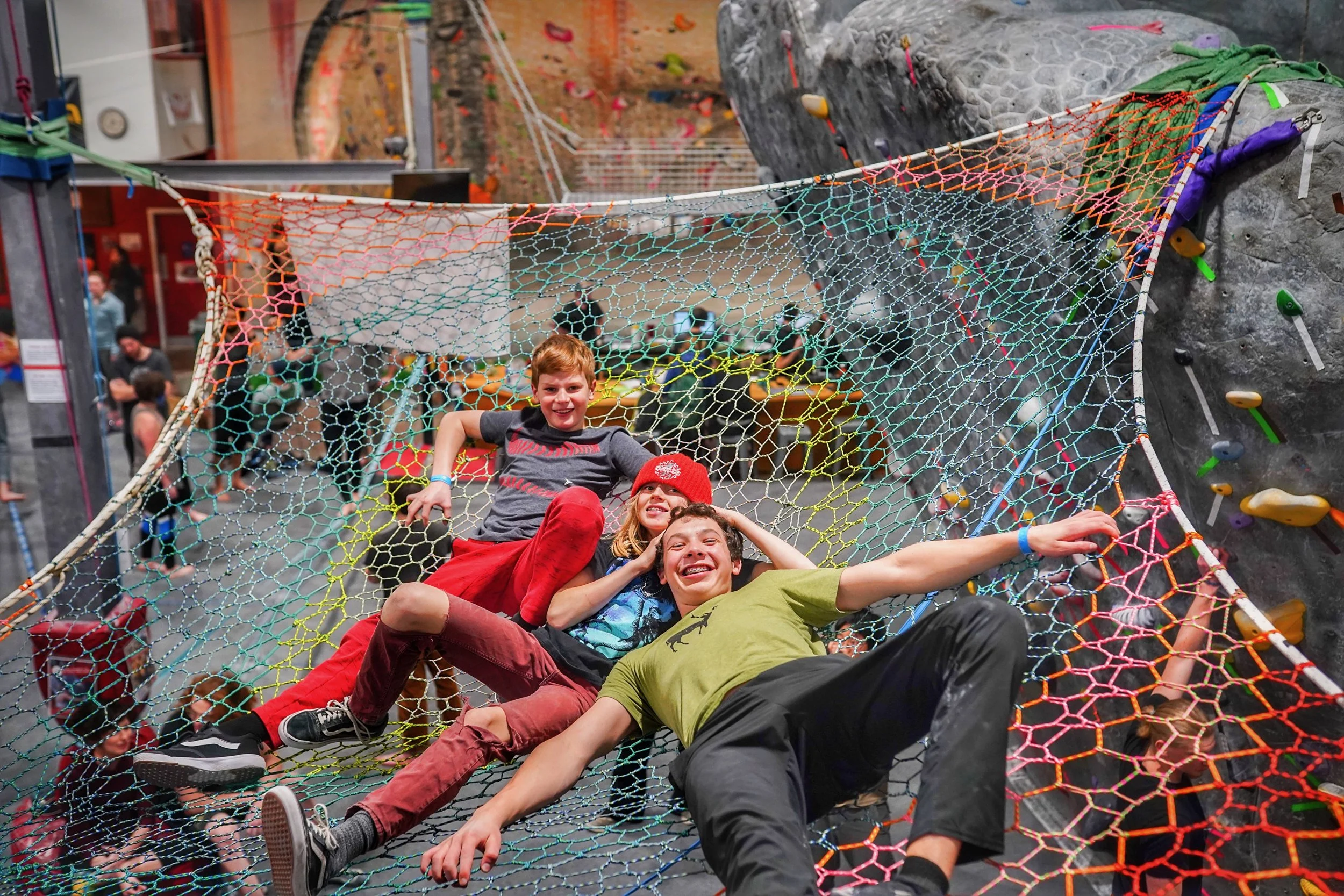 Services — TreeNet Willy's