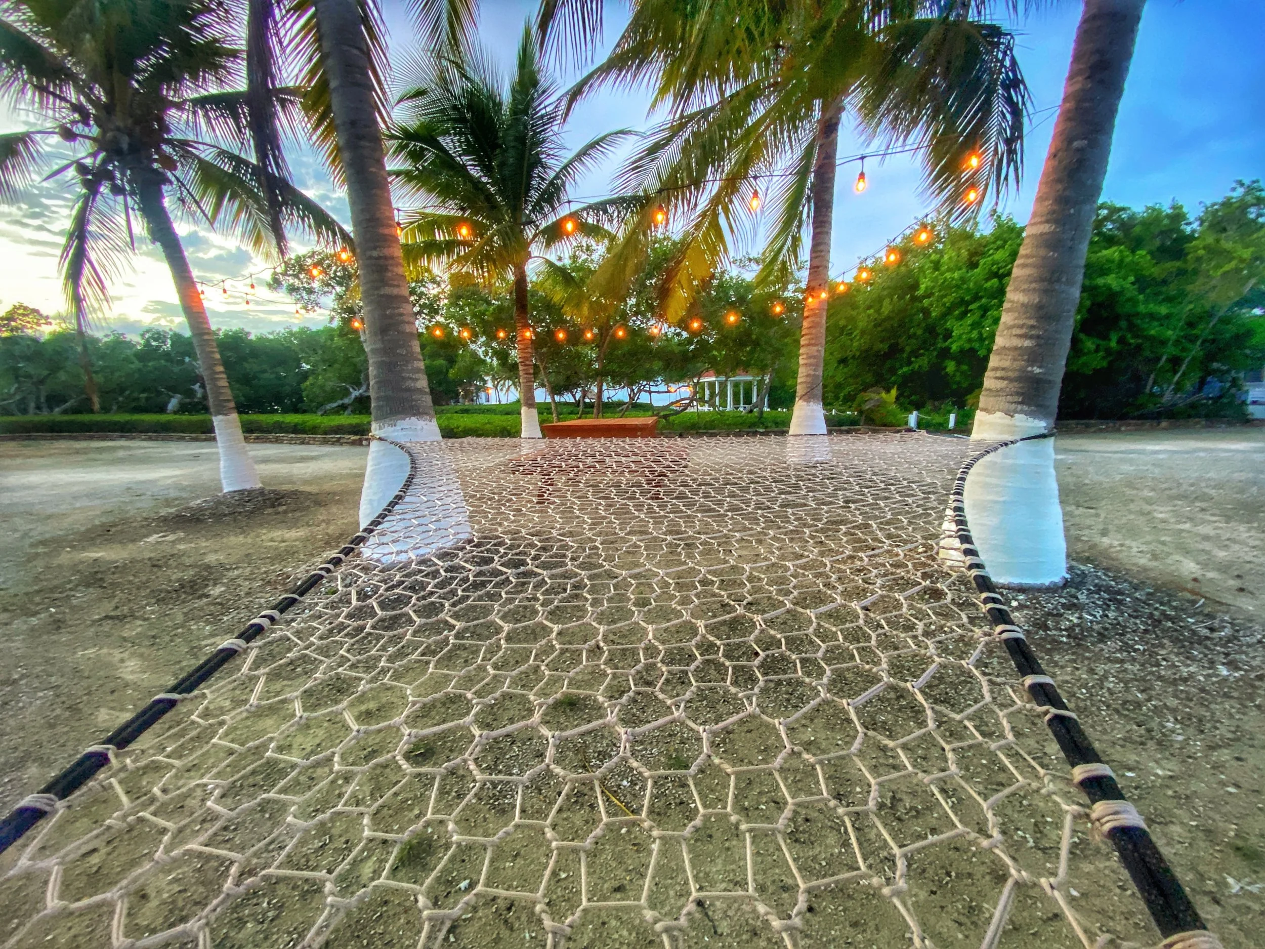 TreeNet Willy Projects | Custom Tree Net Installations & Unique Designs ...