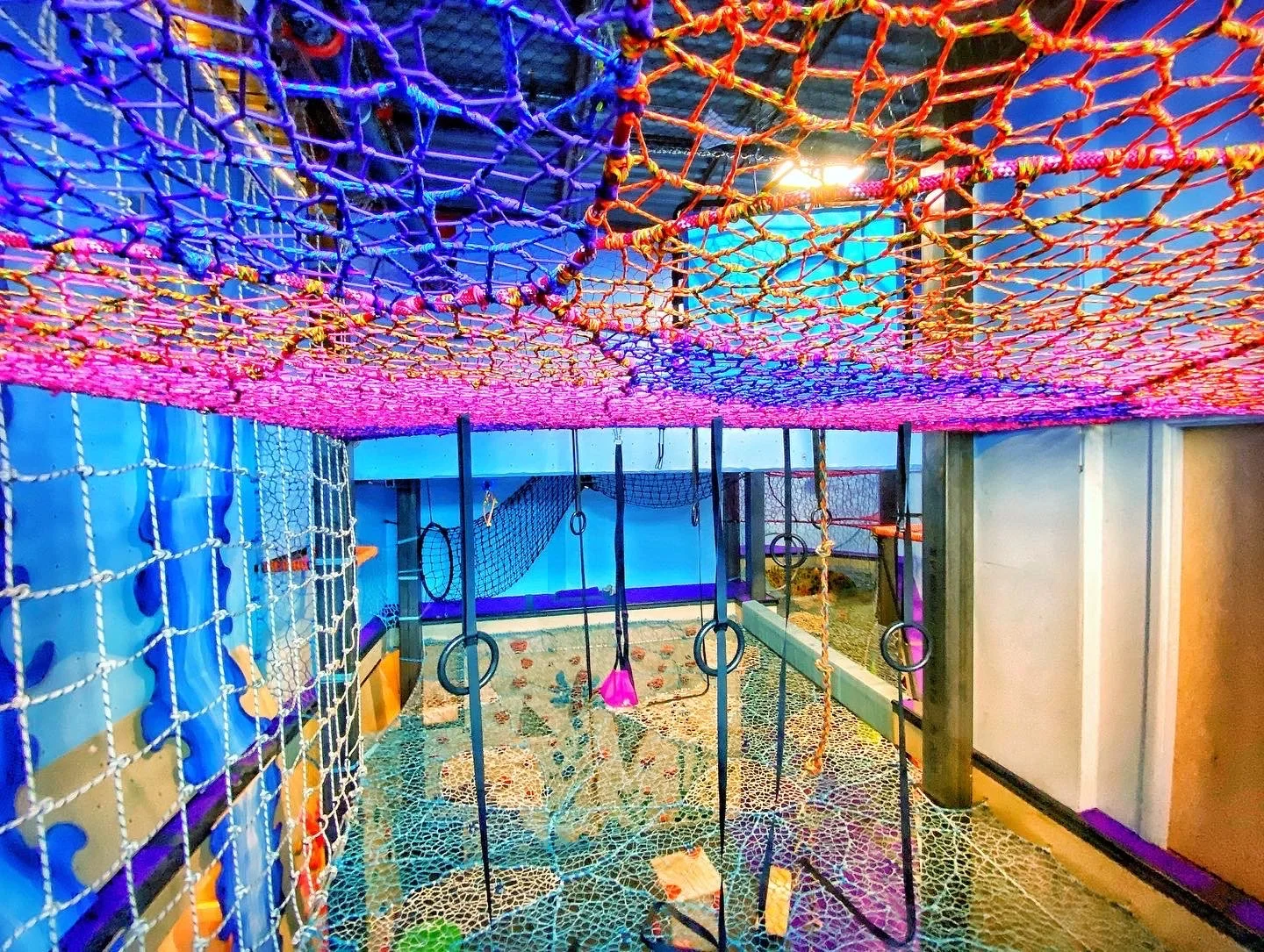 TreeNet Willy Services | Custom Tree Net Design & Installation ...