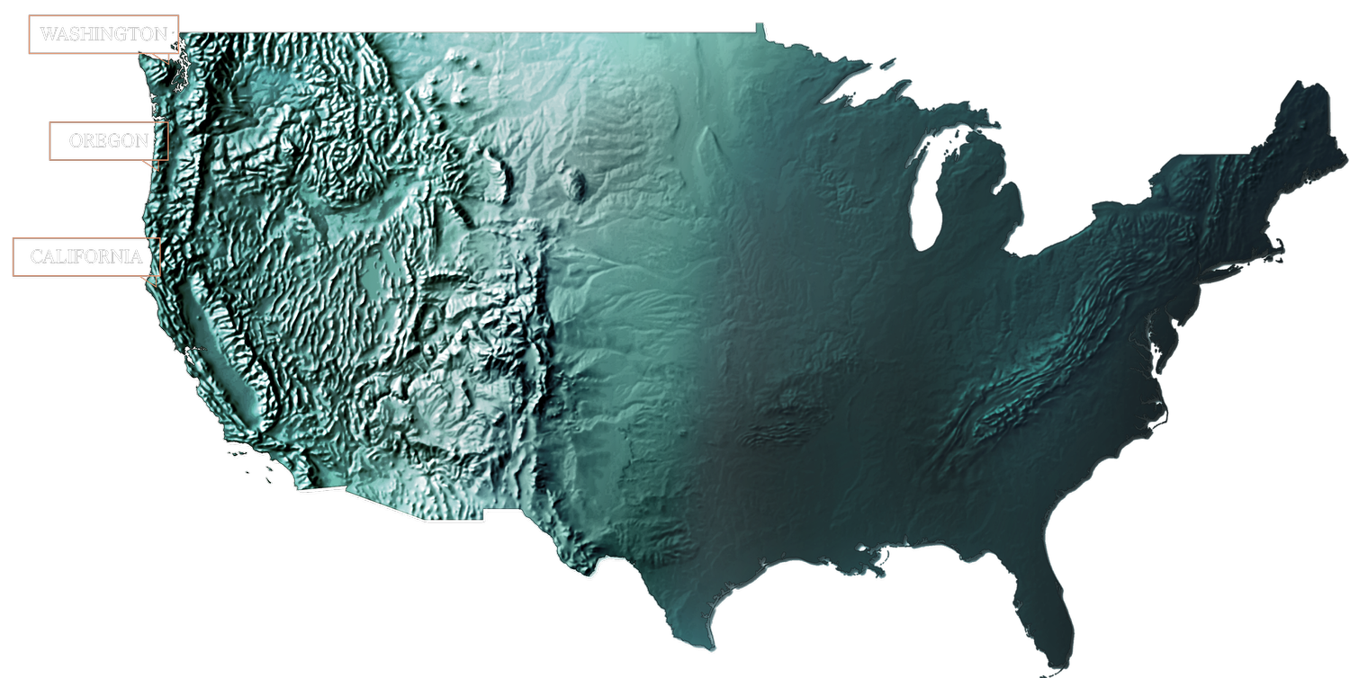 Our Team — Bradley Bernstein Sands