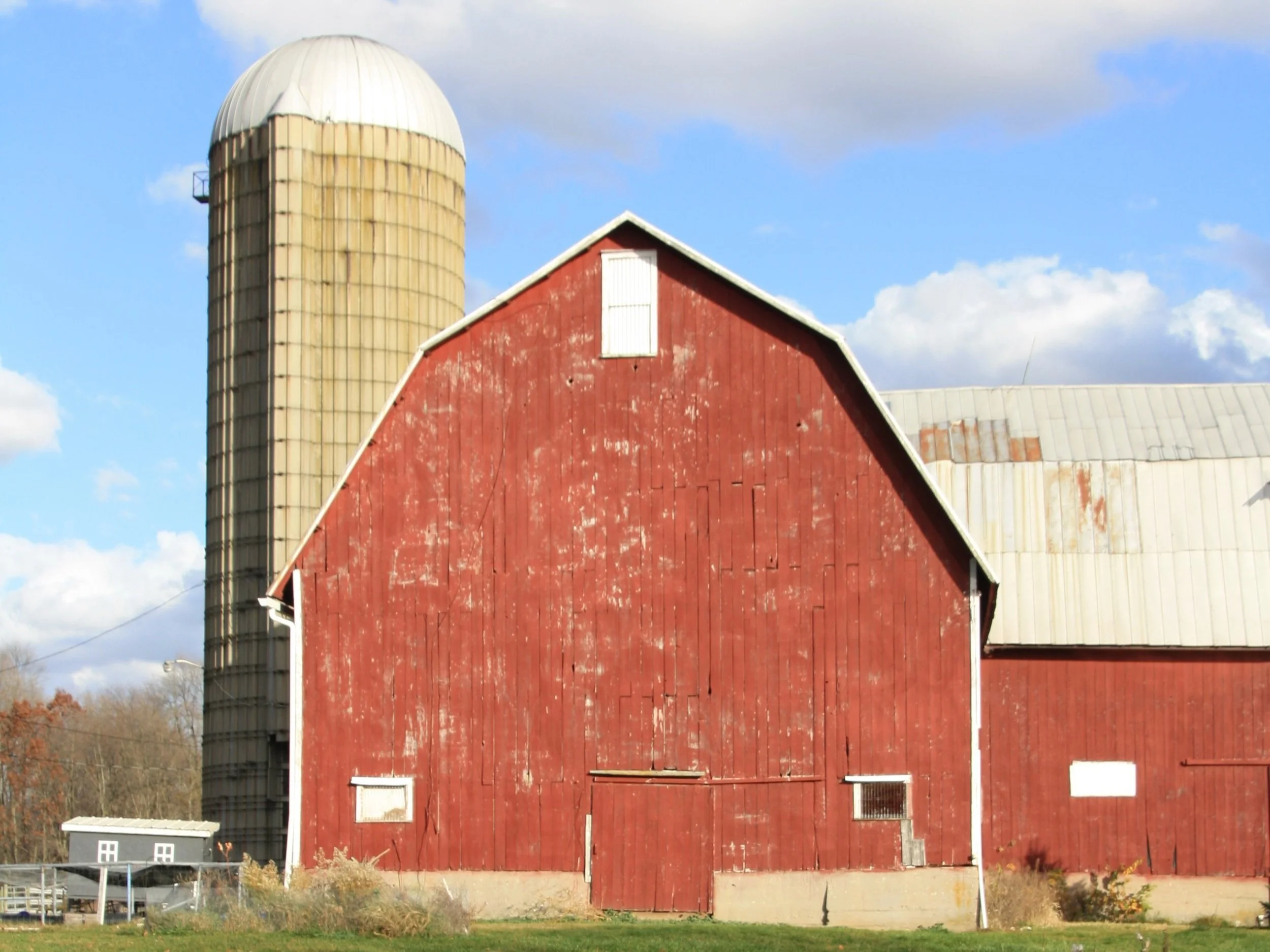 Bracy Gold Bison Ranch | Pasture Raised Bison | Swanton, OH