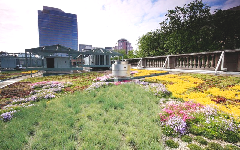 DELA Studio Services — DELA STUDIO - A Portland Landscape Architecture Firm