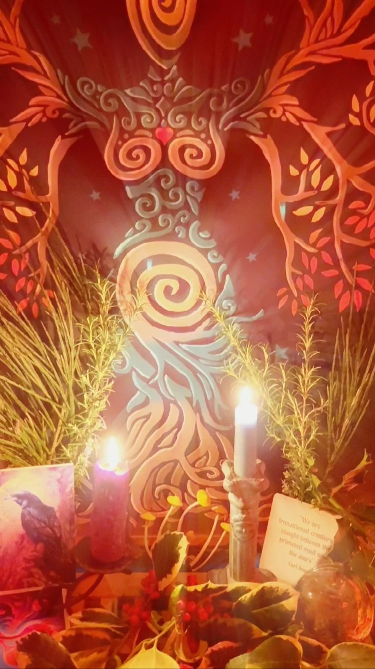 Starshine Roots