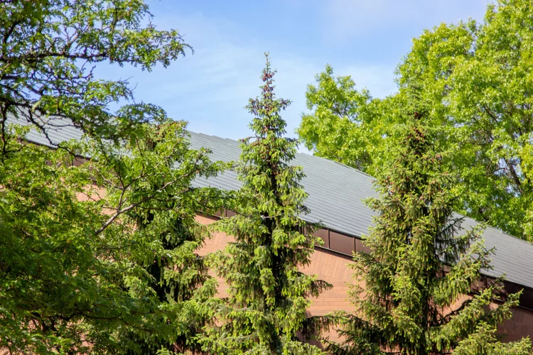 Evergreen Commons