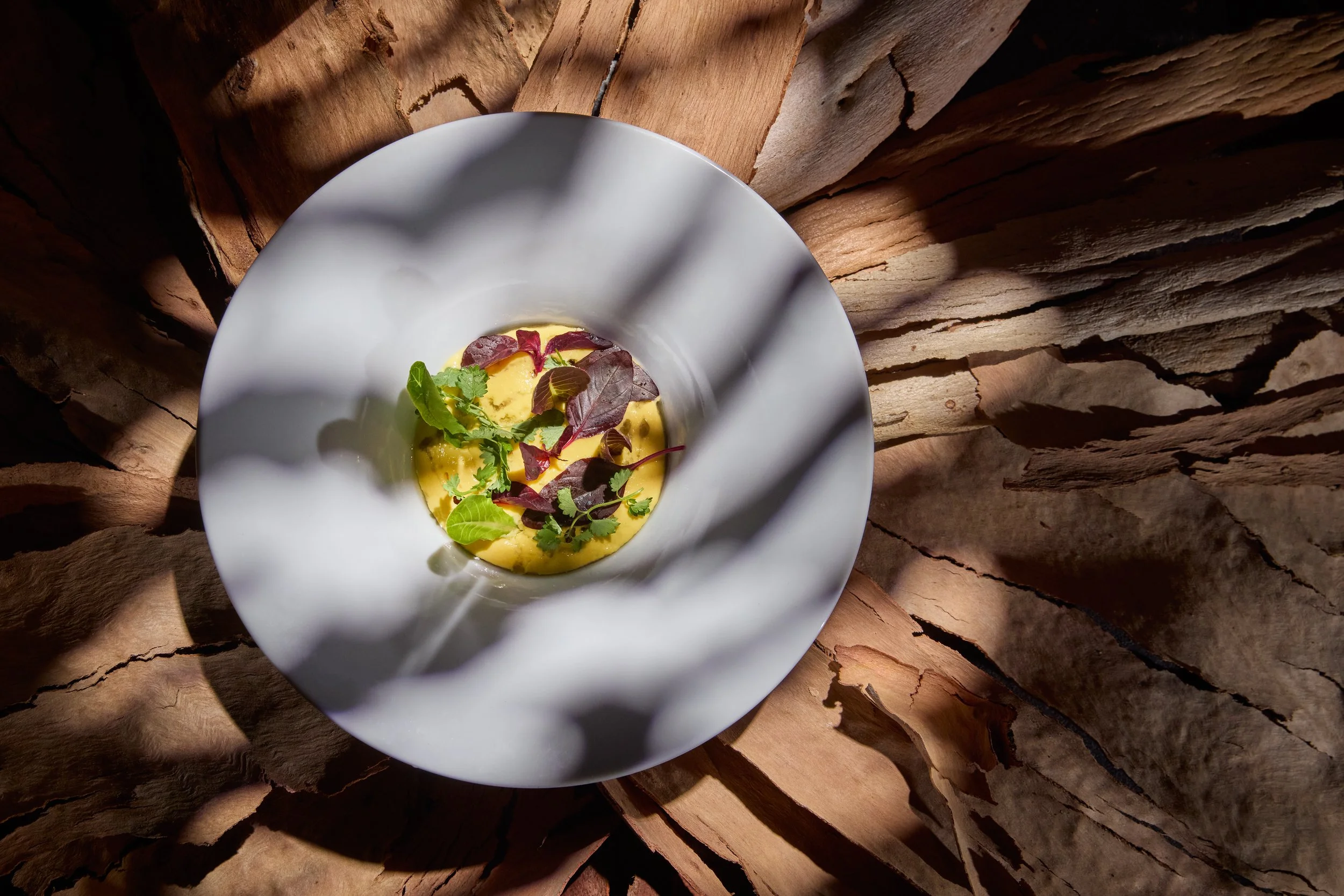 Menu Concepts — Nel Restaurant