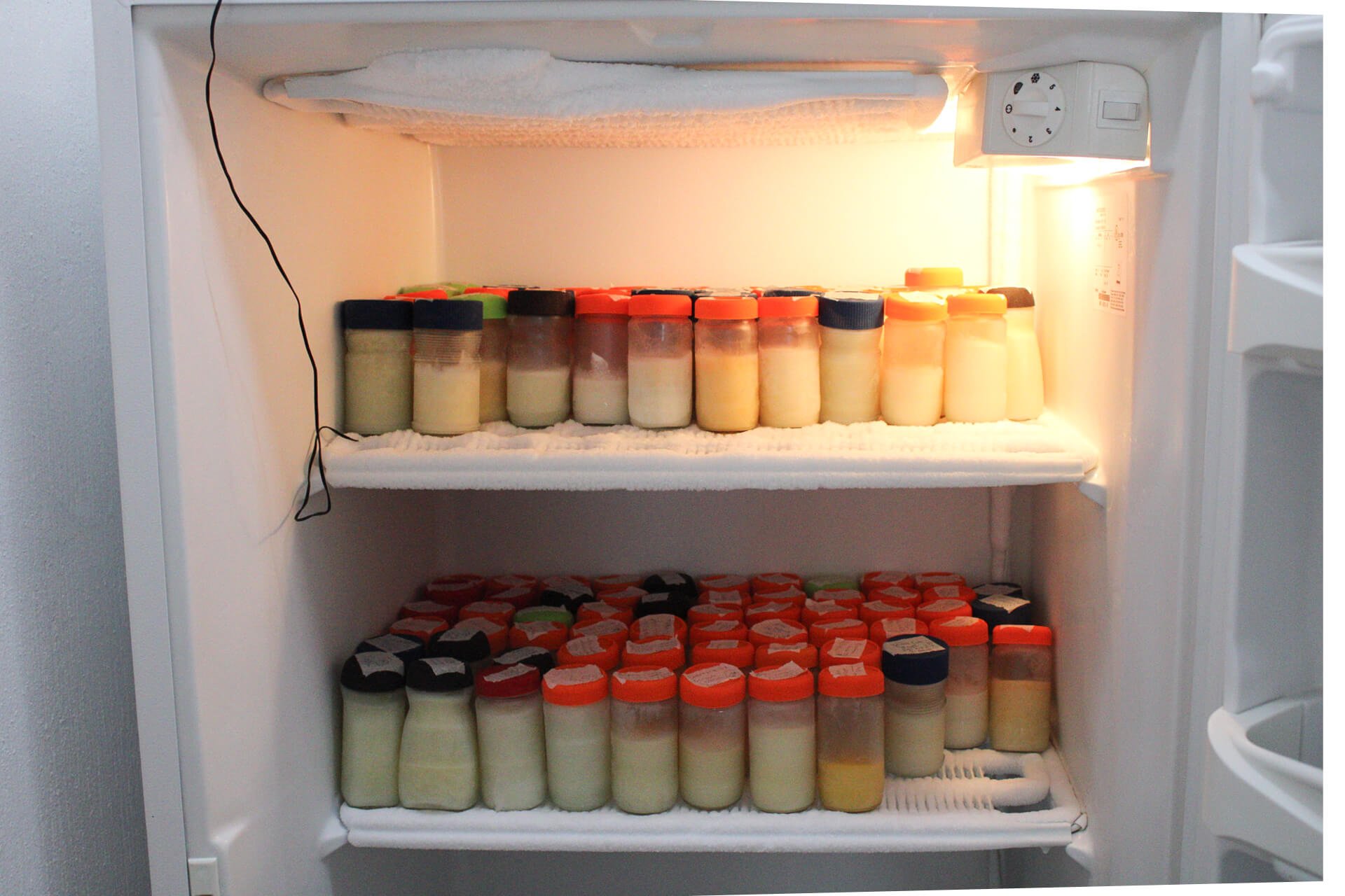 Lactancia materna, un herramienta para combatir la desnutrición — RUDA