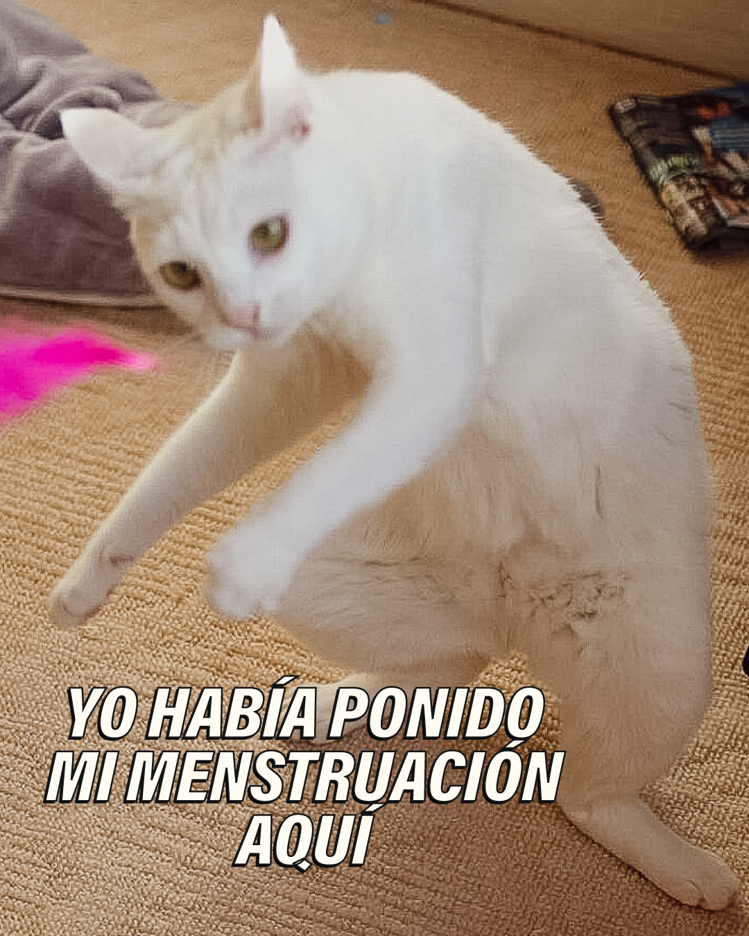 Guía de Autocuidado: para sobrellevar la menopausia — RUDA