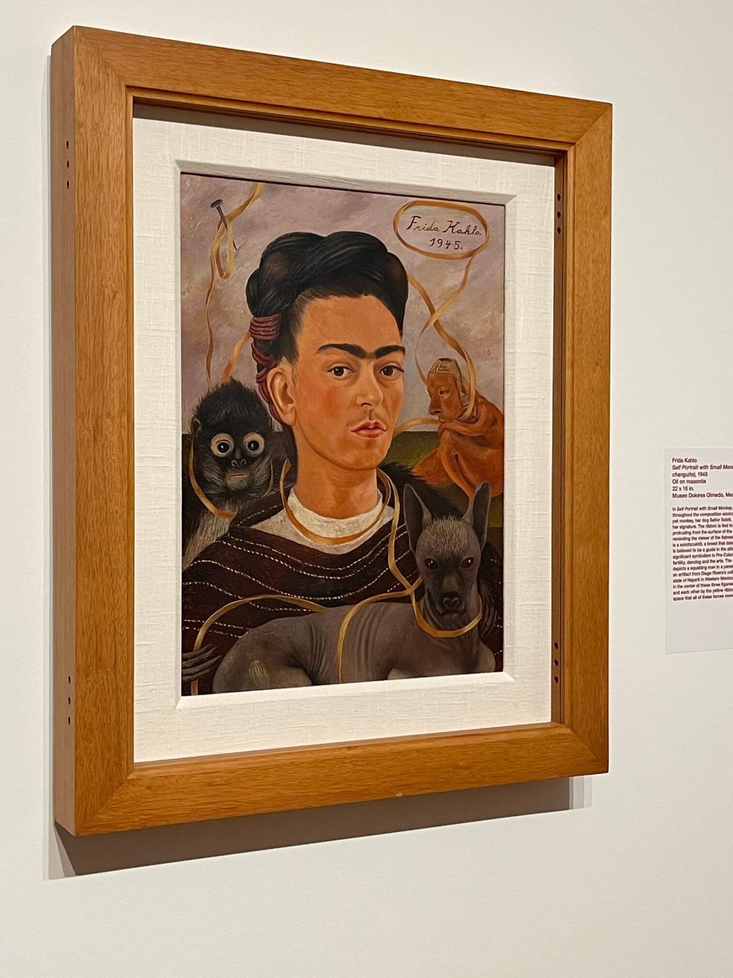 La inmensidad de Frida Kahlo lo abarca todo, lo ilumina todo — RUDA