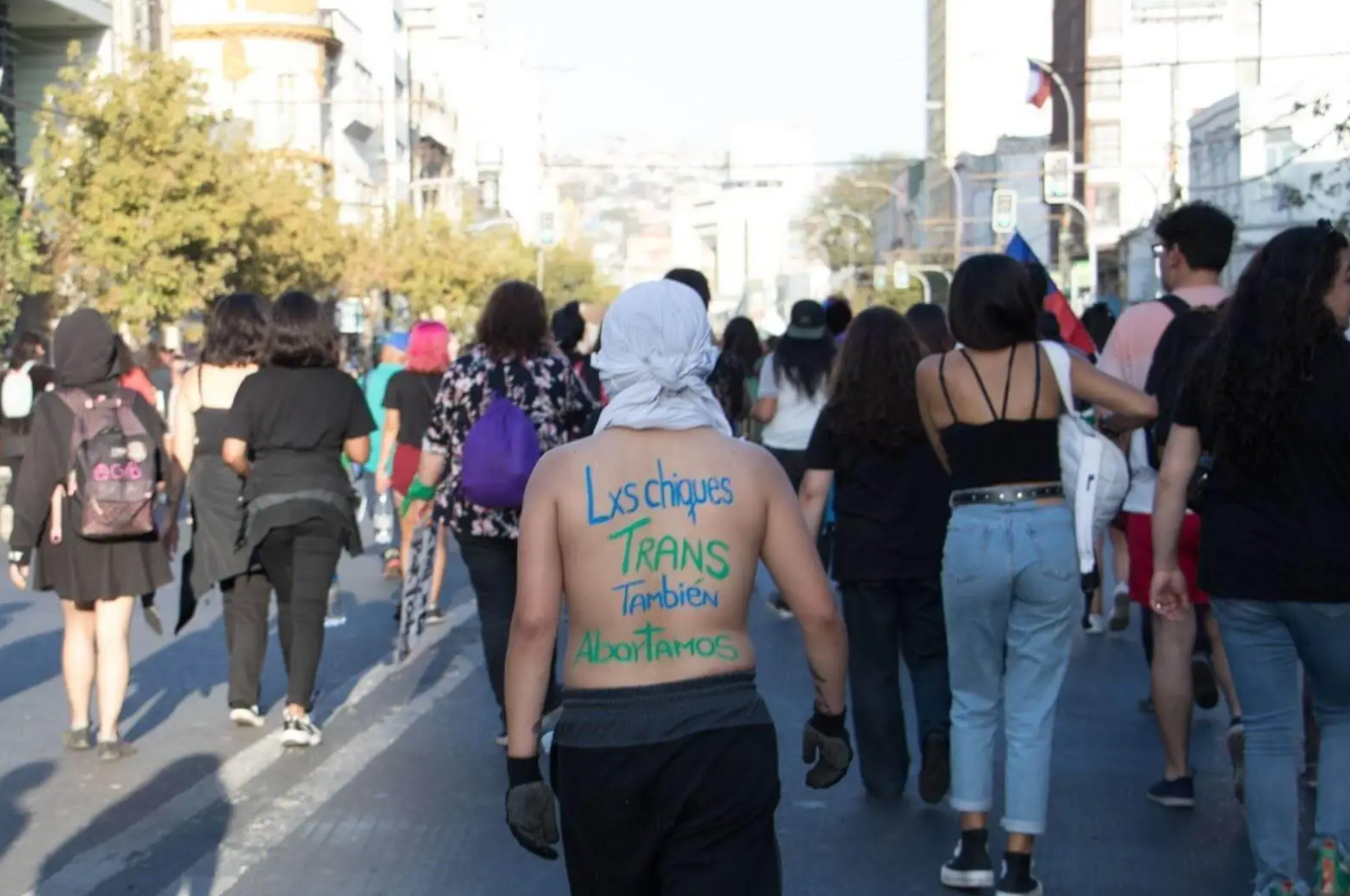 Las candidatas trans hacia una nueva Constitución en Chile — RUDA