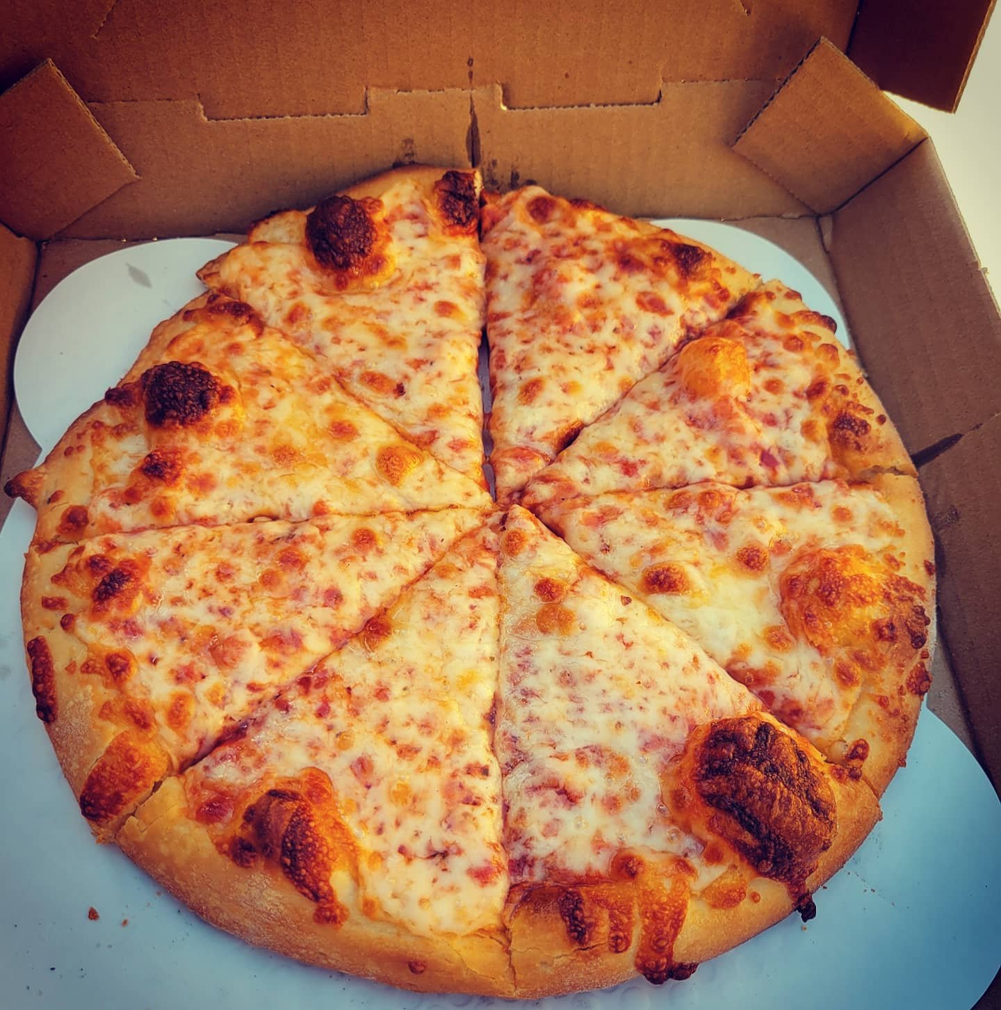 Photos — High Society Pizza