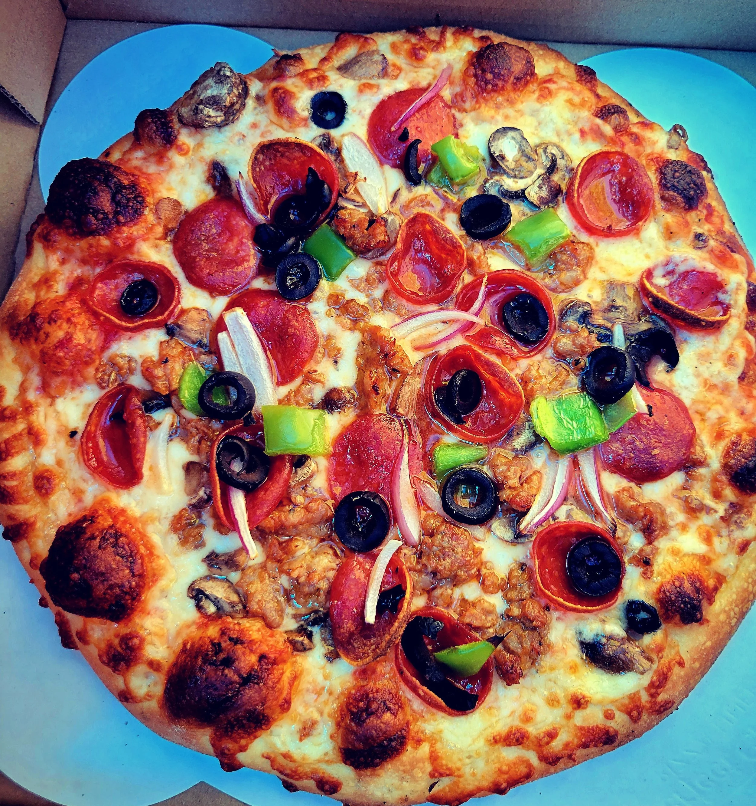 Photos — High Society Pizza