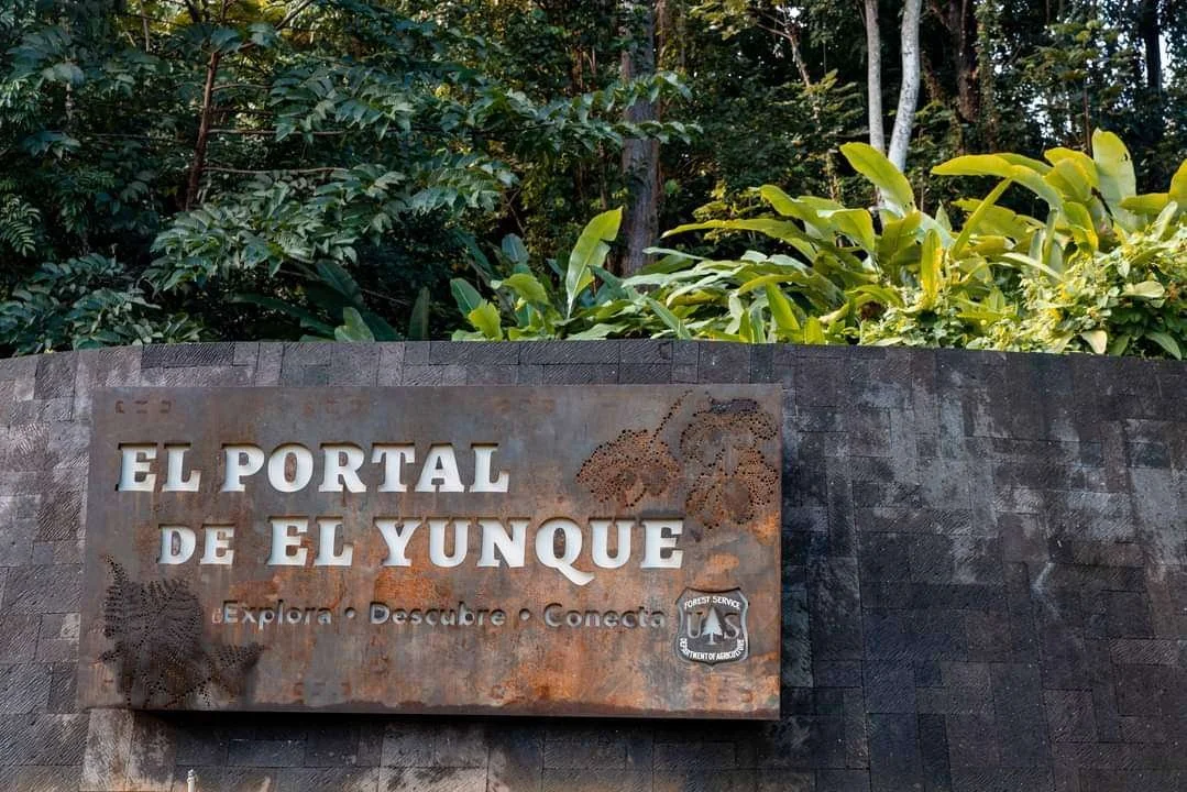 Gallery 3 — Fundación Amigos del Yunque, Inc.