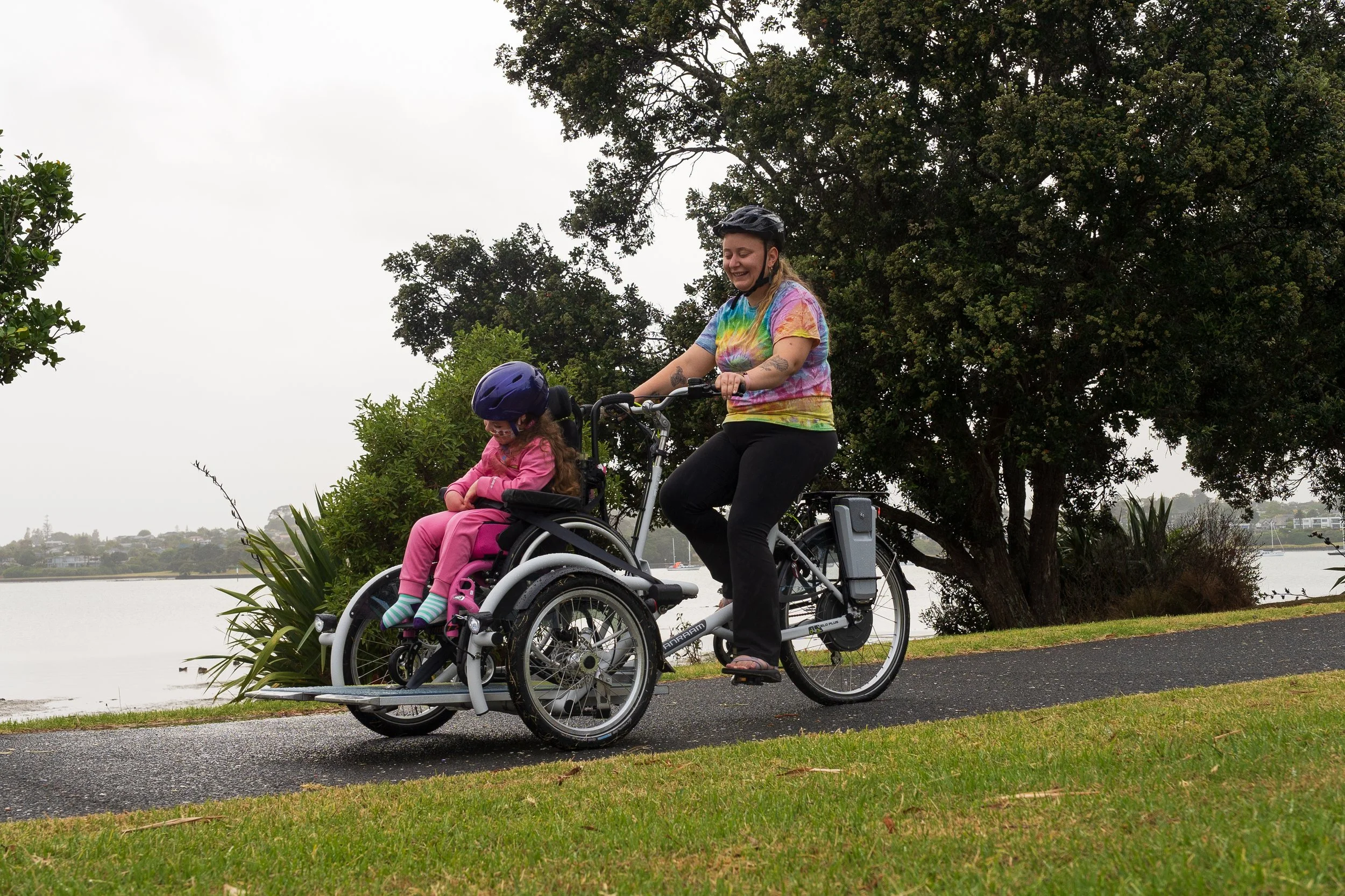 VeloPlus Wheelchair Transport Bike — Milner Mobility