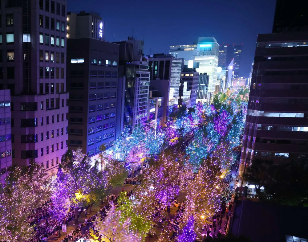 Best 5 Day Osaka Itinerary Including Visits to Kyoto and Nara City!