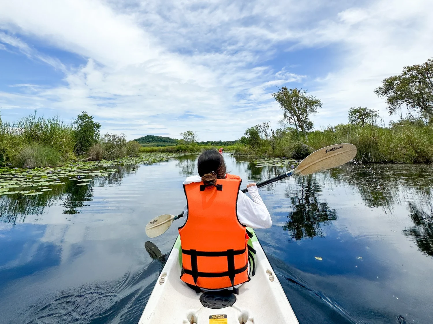 Kayaking at Rayong Botanic Garden Activity Center’s Peaceful Lotus Marshes