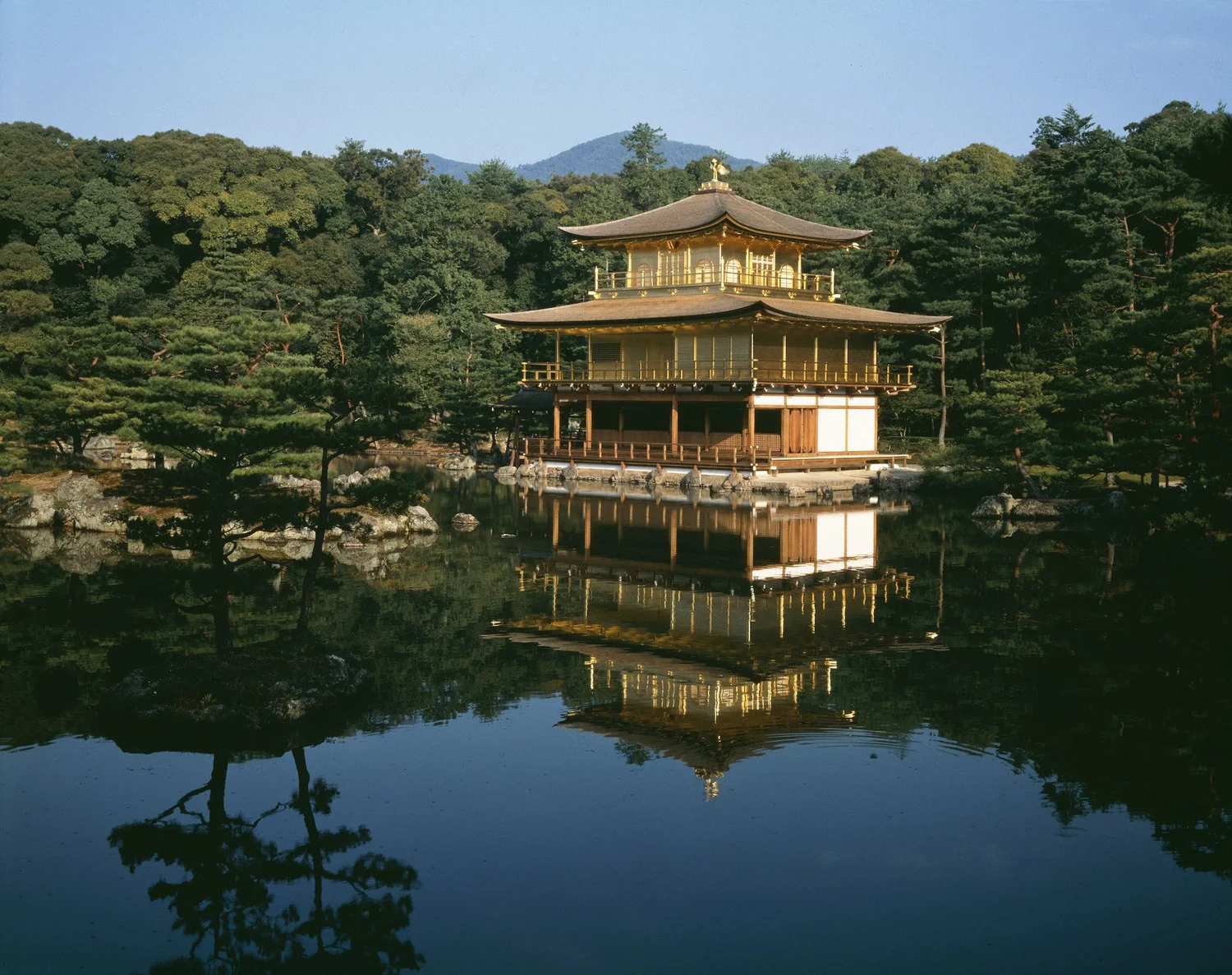 Best 5 Day Osaka Itinerary Including Visits to Kyoto and Nara City!