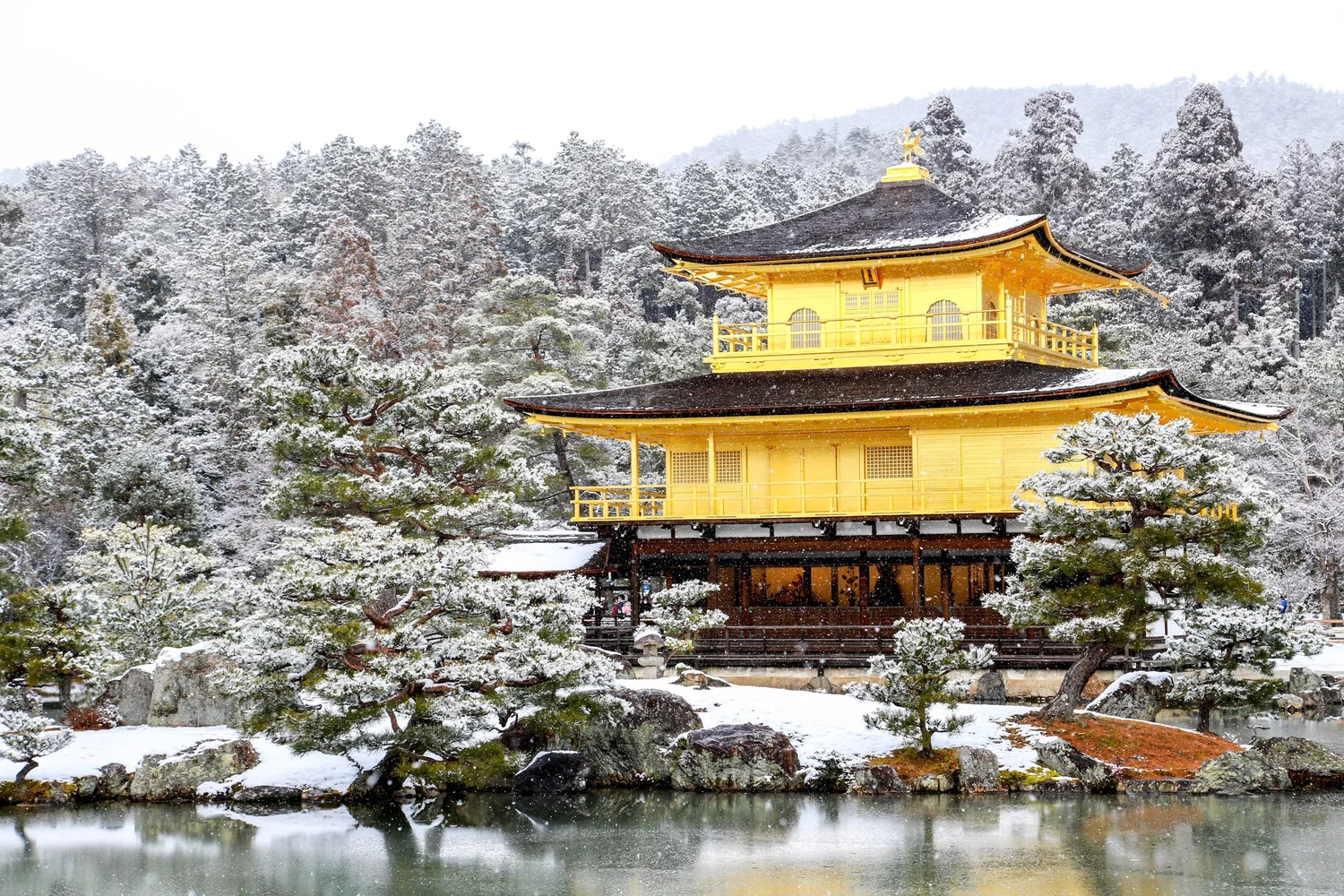 Amazing 3 Day Kyoto Itinerary, Things to Do in Japan’s Ancient Capital!