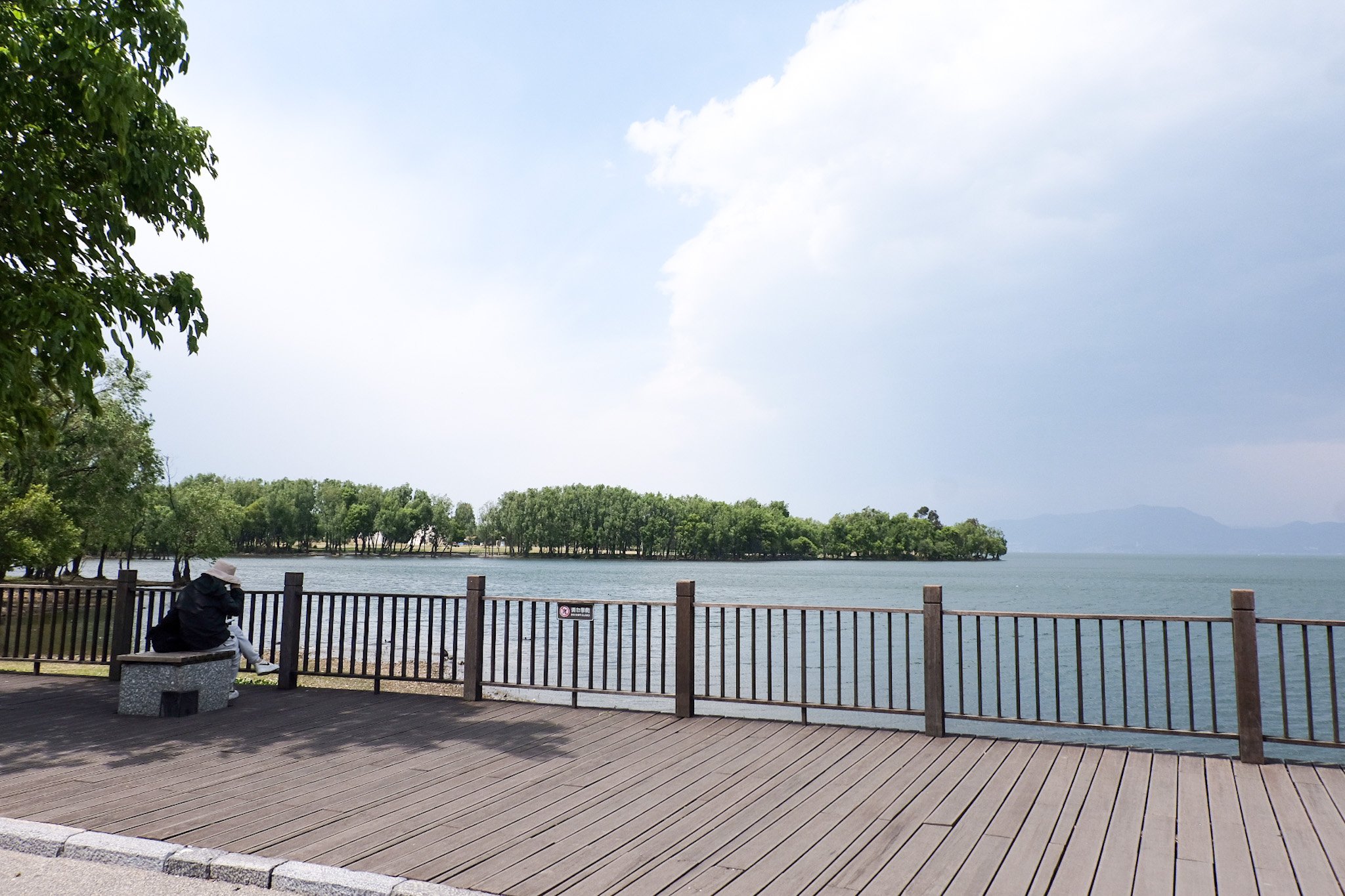 Strolling Along the Scenic Erhai Lake Park in Dali City, Yunnan
