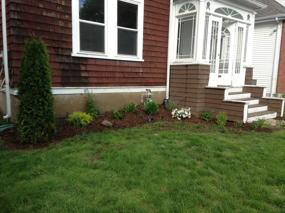 Our Hell Strip Plant Guide — Renovation Husbands