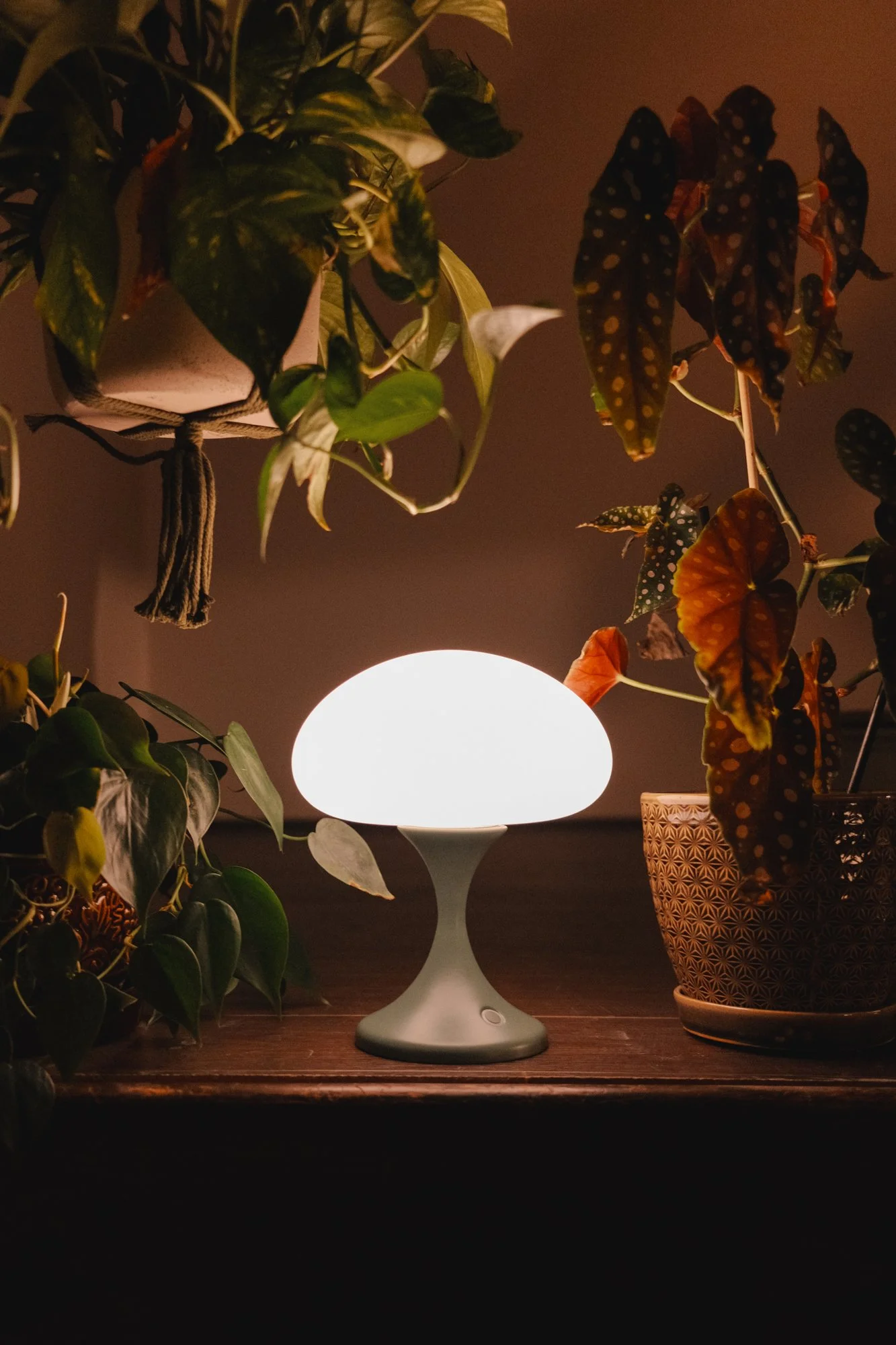 Our Favorite Rechargeable and Cordless Table Lamps — Renovation Husbands