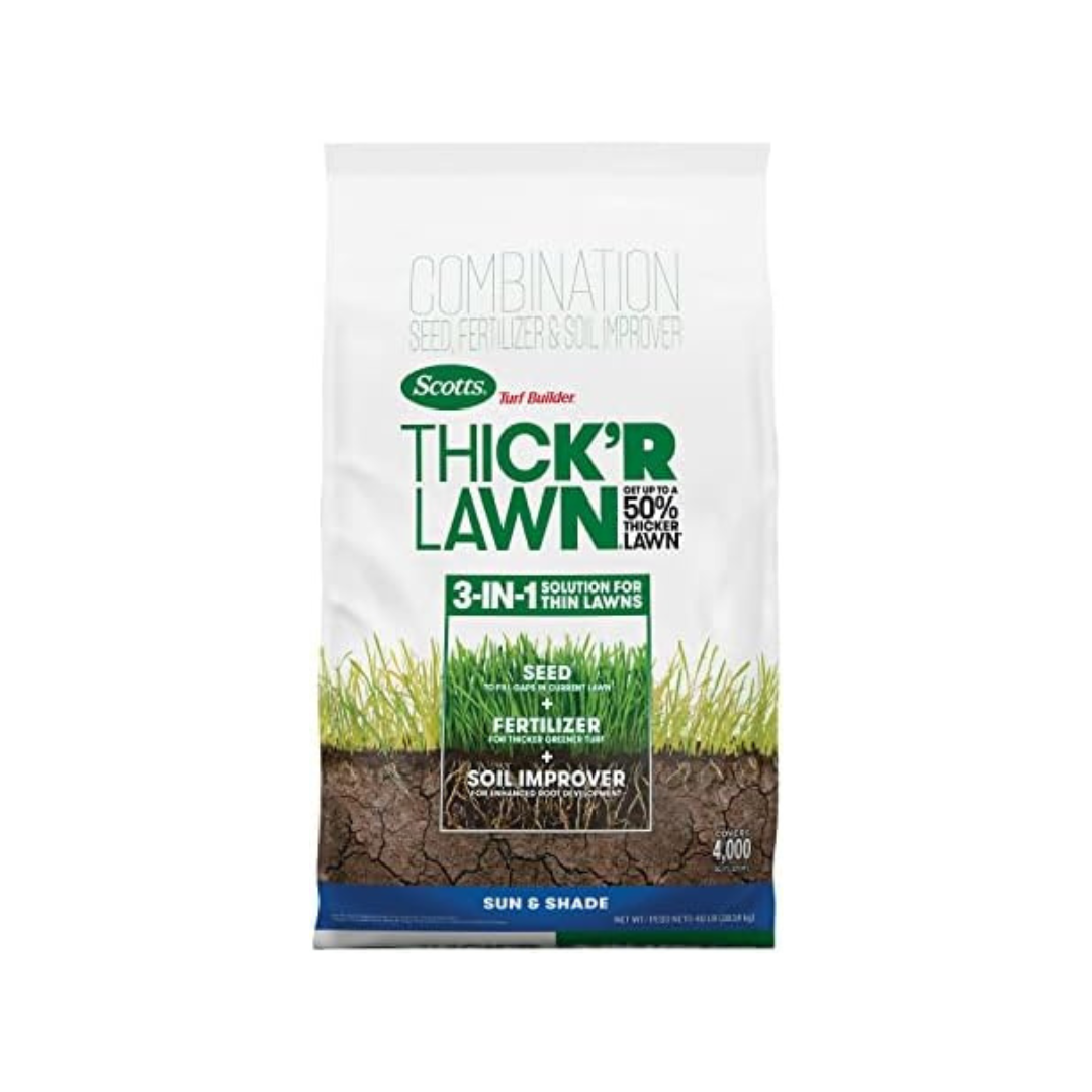 Our Hell Strip Plant Guide — Renovation Husbands