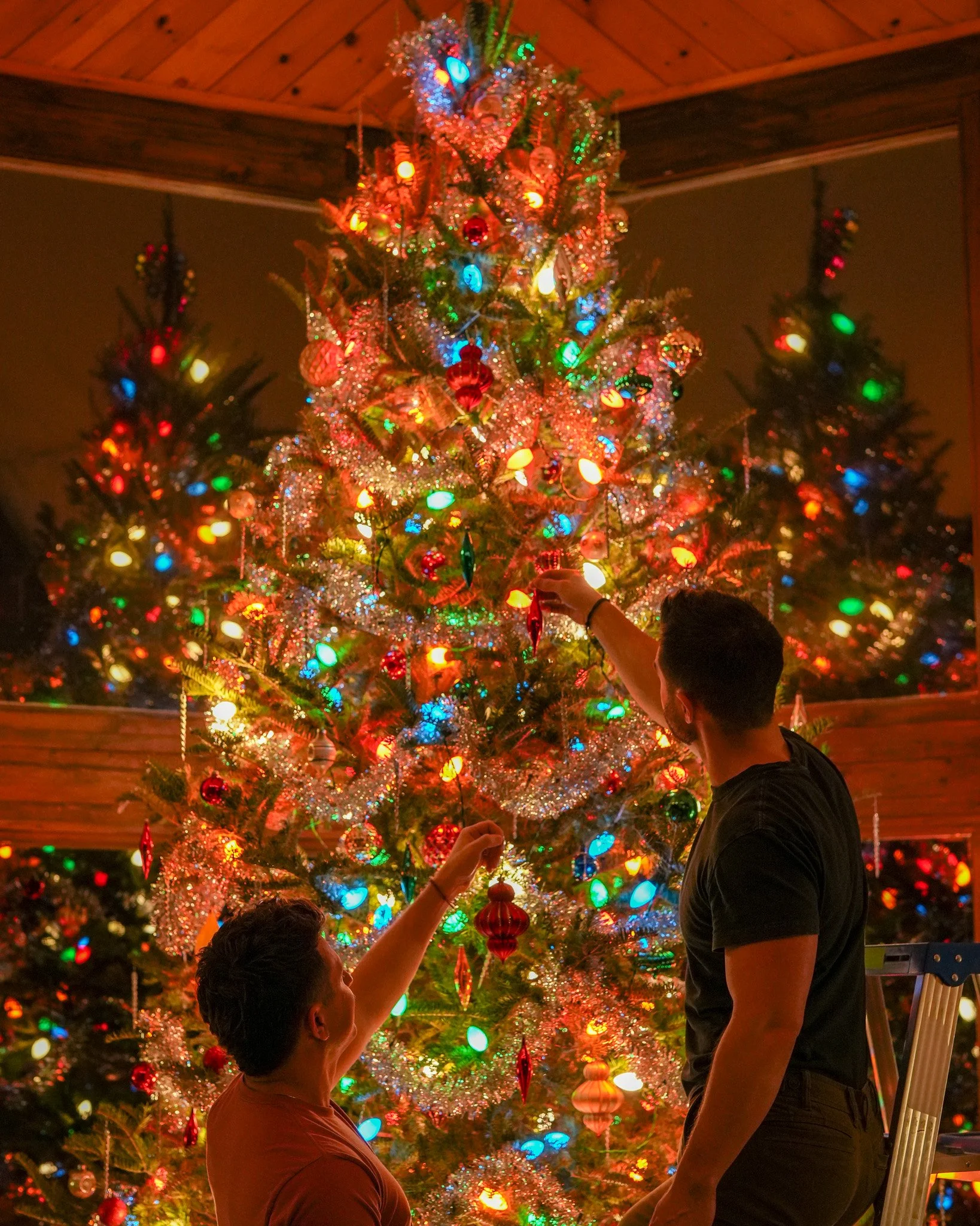 Our Tru-Tone Christmas Lights — Renovation Husbands