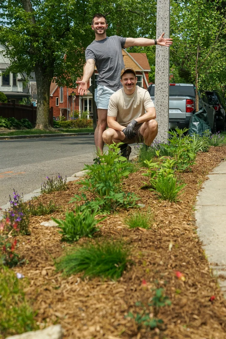 Our Hell Strip Plant Guide — Renovation Husbands