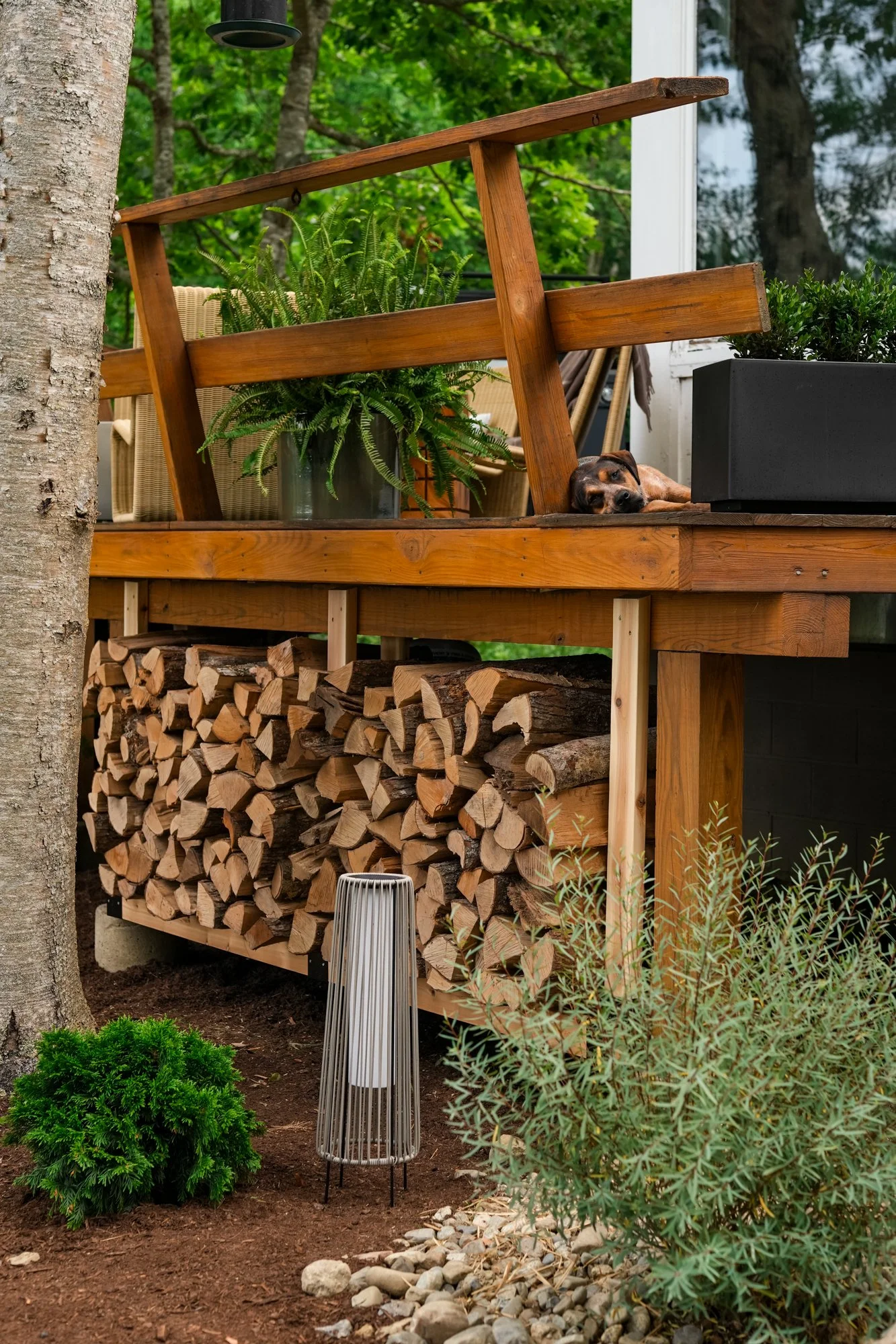 Creating a Natural Retreat in our own backyard — Renovation Husbands
