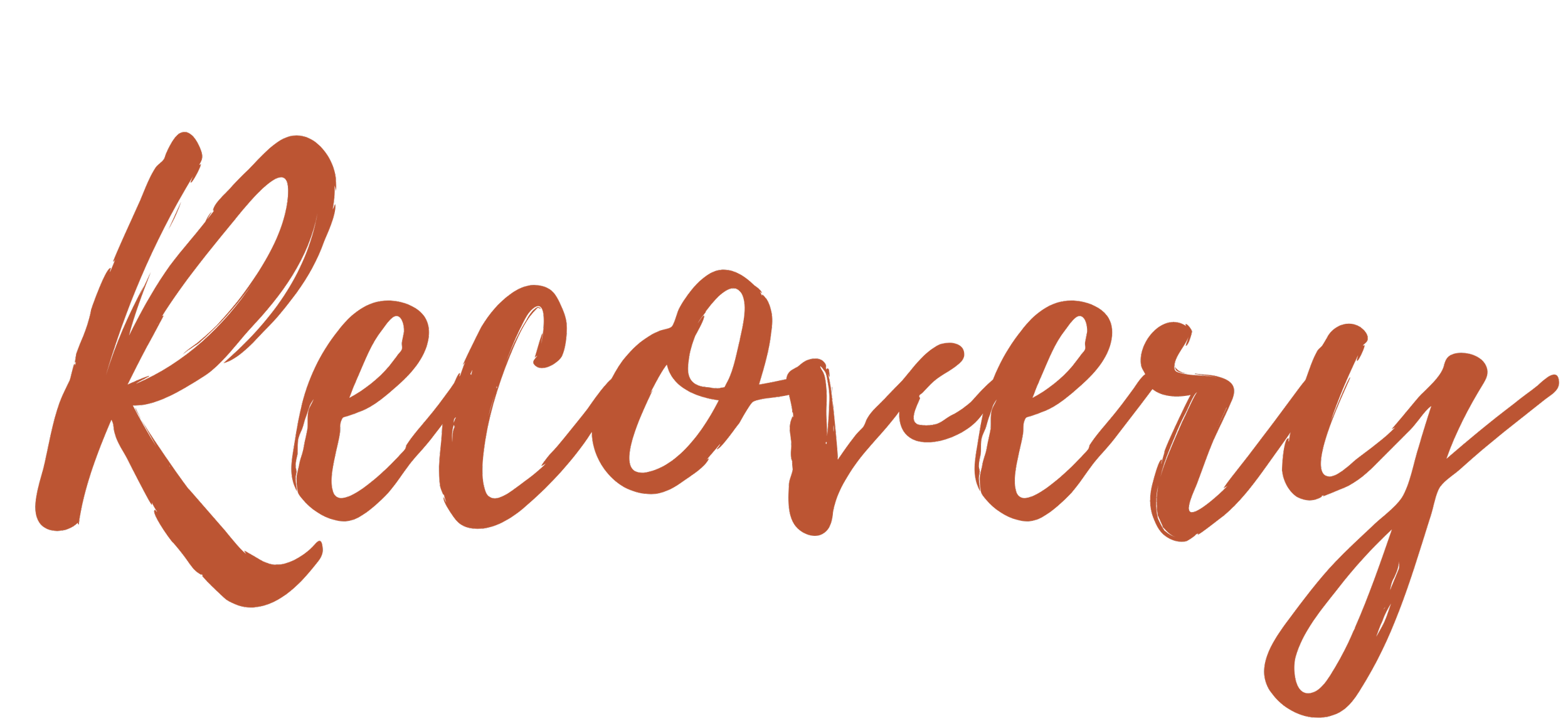 About P2R — Passport 2 Recovery