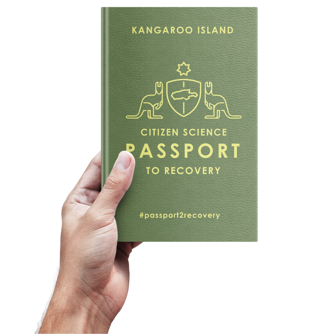 Passport to recovery