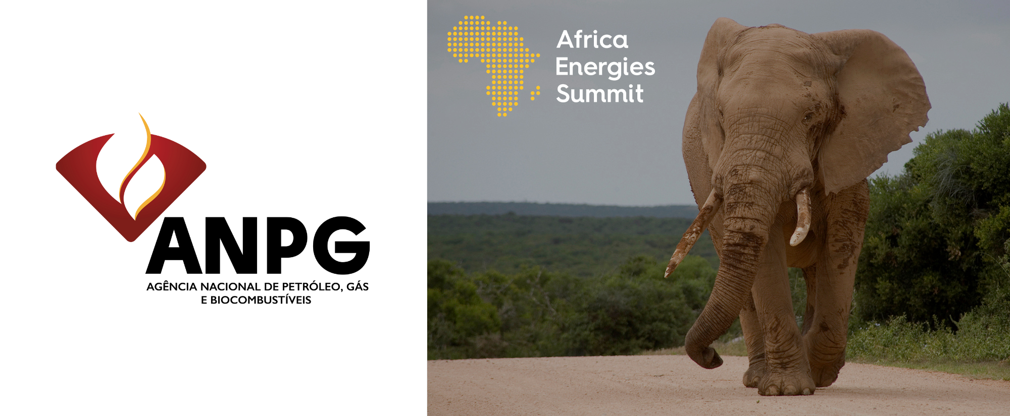 Africa Energies Summit is Delighted to Welcome ANPG to London — Africa ...
