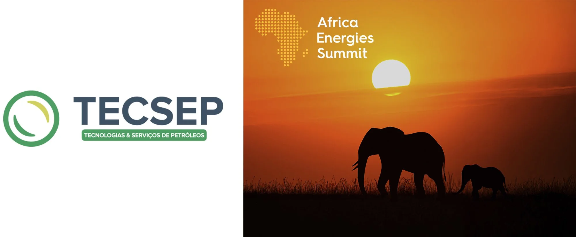 Africa Energies Summit Proud to Announce TECSEP as a Key Sponsor and ...