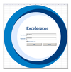 Excelerator: Excel to Sage Import Software — Codis