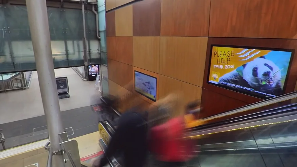 Our Screens— Smart Vision Screens