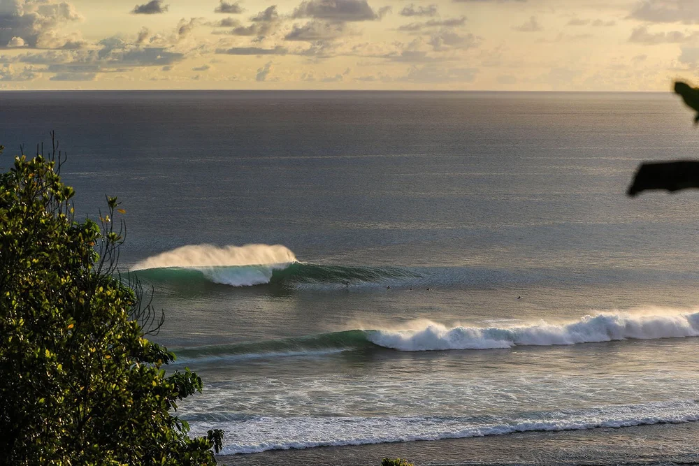 Surf — Kale Brock