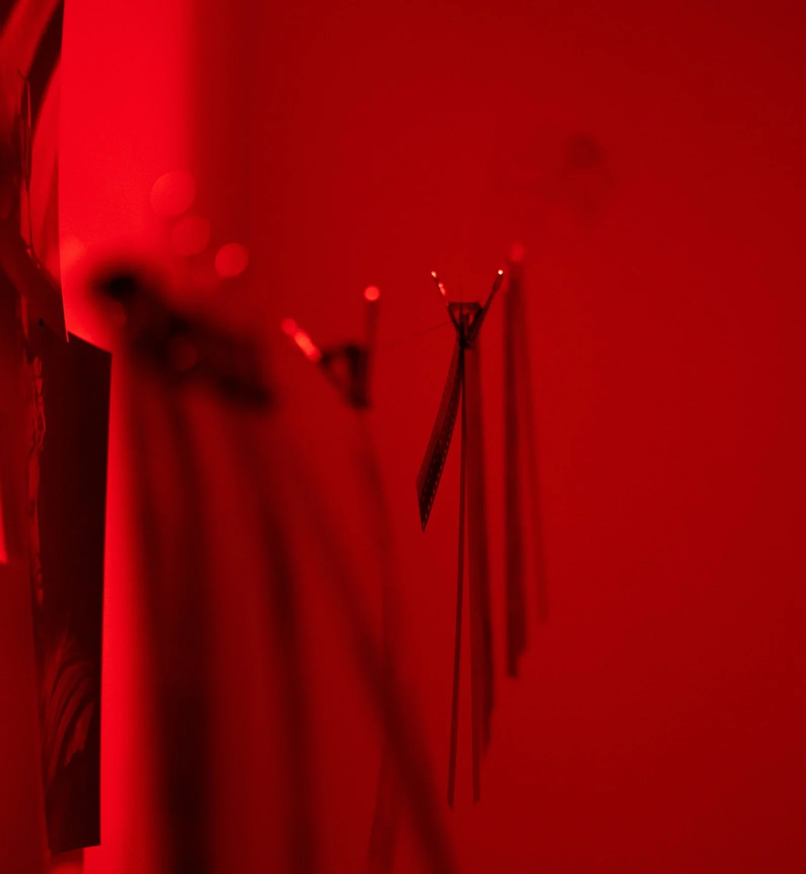 Developing Film Photos: The Dark Room — THE MUSE