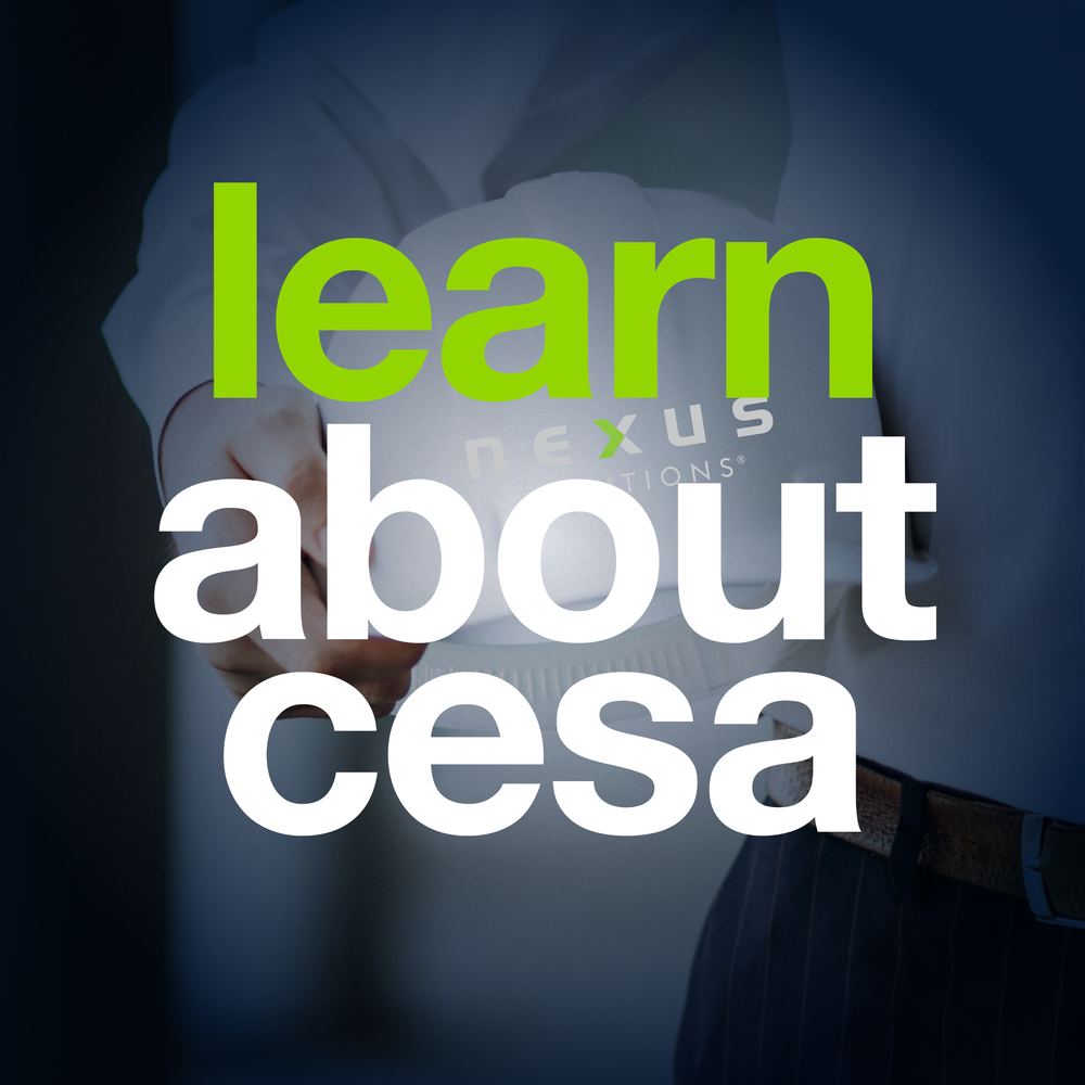 Nexus Solutions | Comprehensive K-12 Facility Solutions From Start to ...