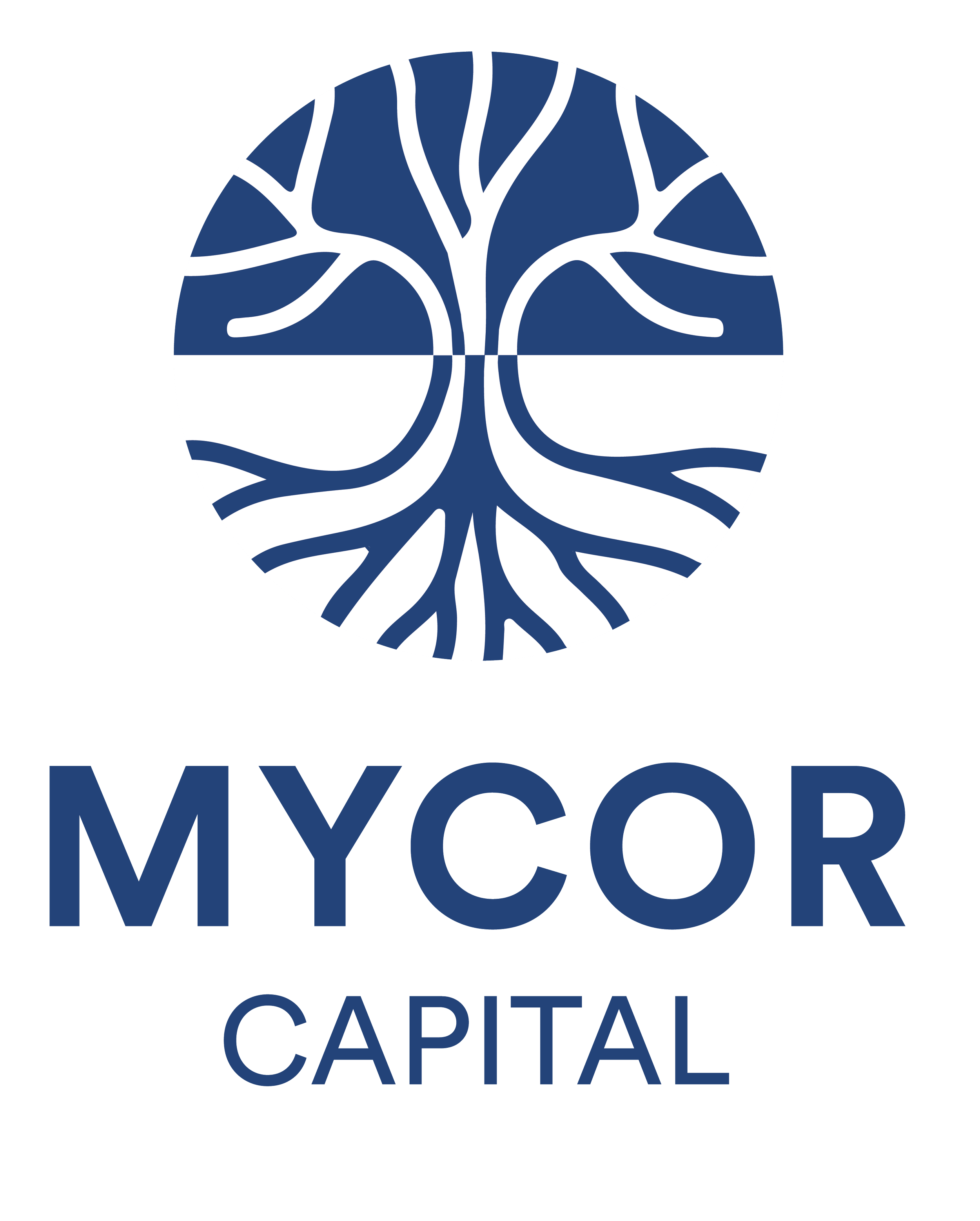 Mycor Capital