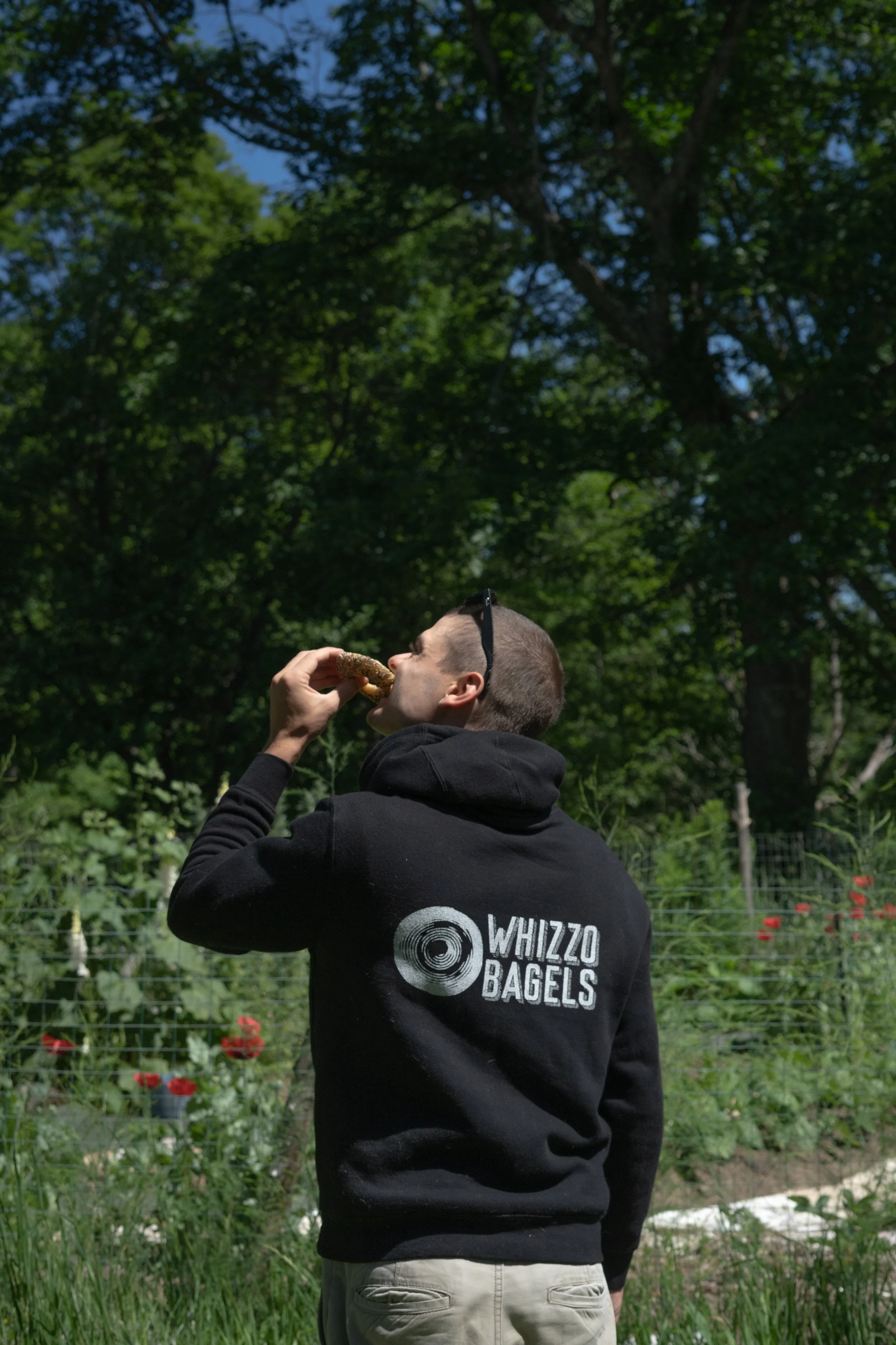 Whizzo Bagels