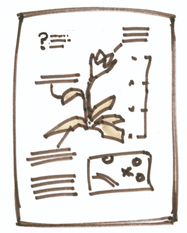 How to Teach Nature Journaling - Activities — Wild Wonder Foundation